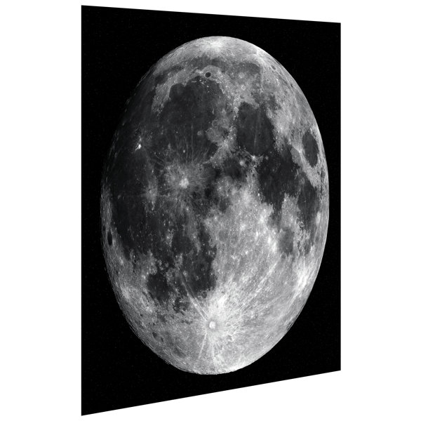 Empire Art Direct " Full Moon " & Reviews | Wayfair