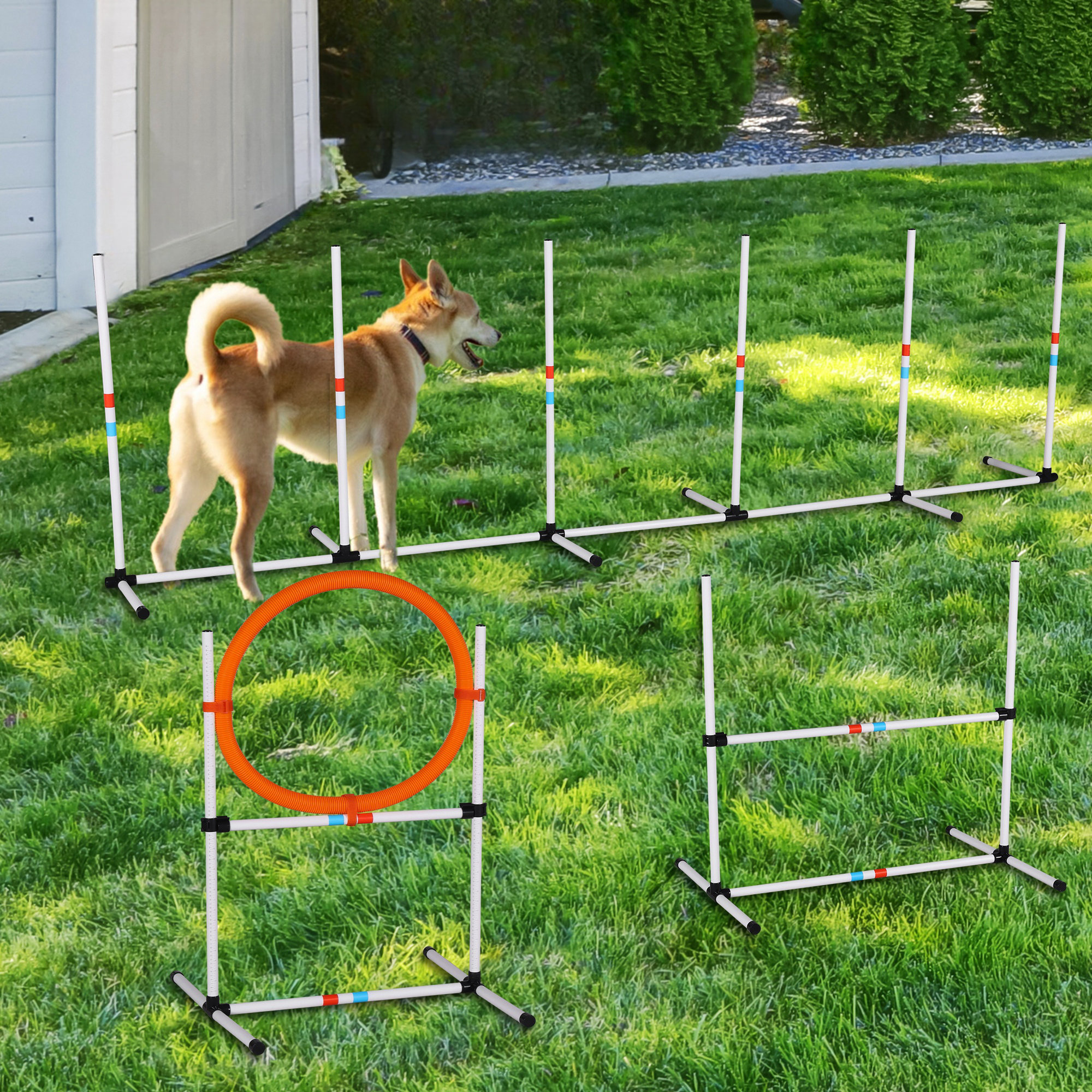 AOOLIVE Obstacle Course Exercise for Dog Agility Set with Carrying Case ...