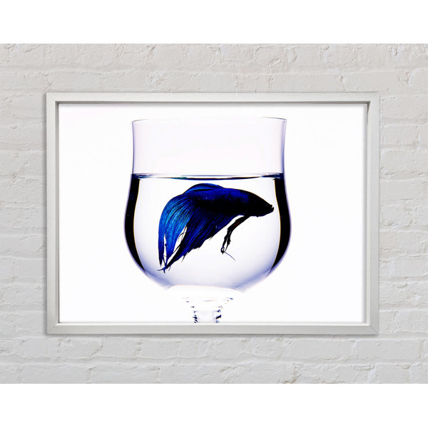 Bright Star Wineglass Fish - Single Picture Frame Print on Canvas ...