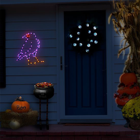 The Holiday Aisle® Raven Lighted Display | Wayfair