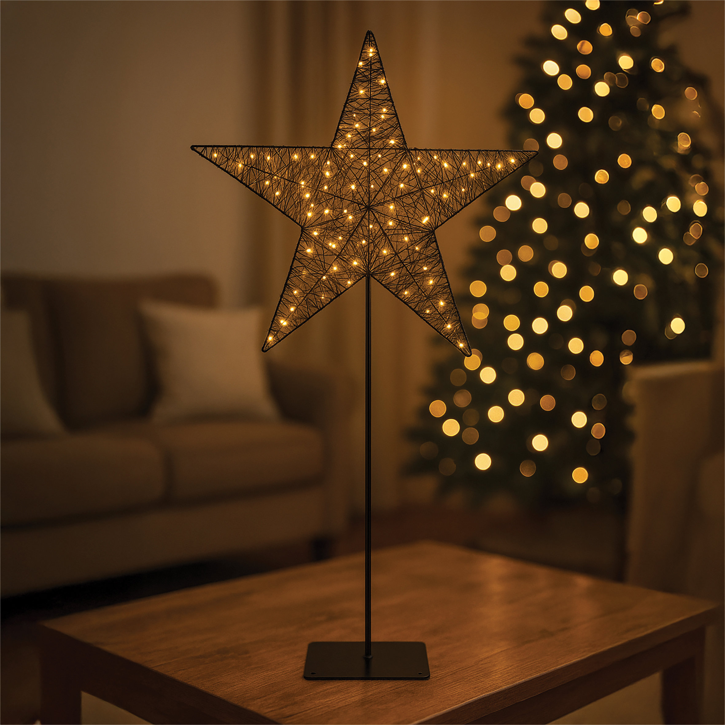 The Seasonal Aisle 66cm Black Metal Star with Stand | Wayfair.co.uk