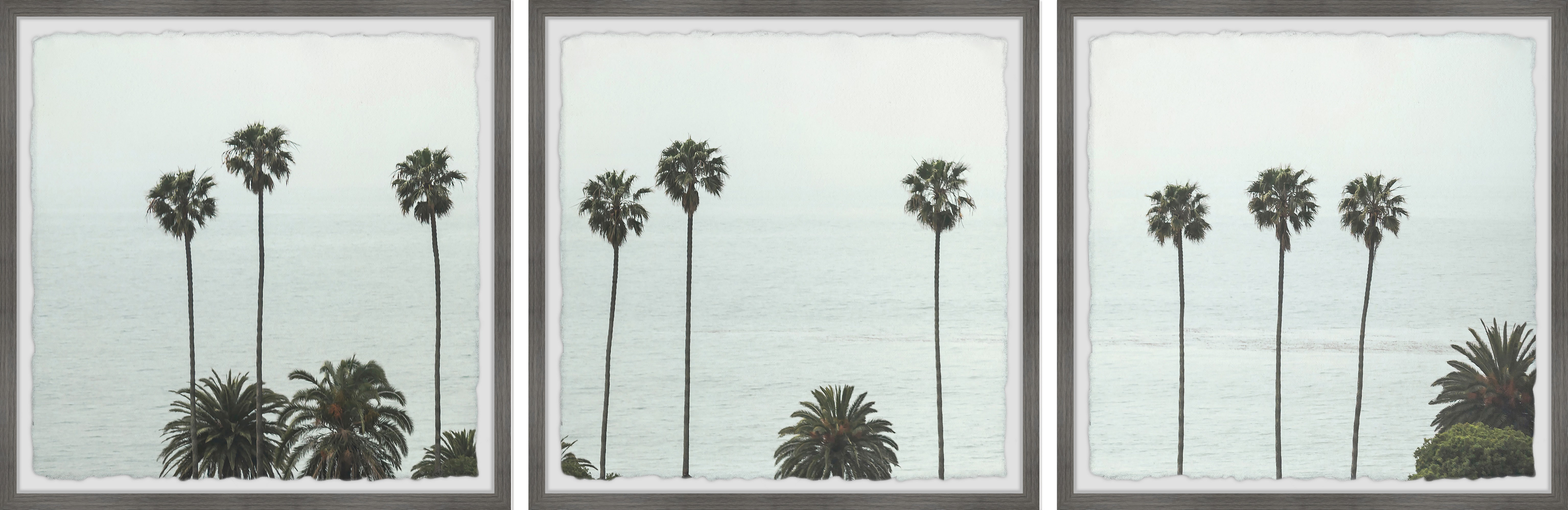 Marmont Hill Tall Coco Palm Trees by Marmont Hill - 3 Piece Picture ...