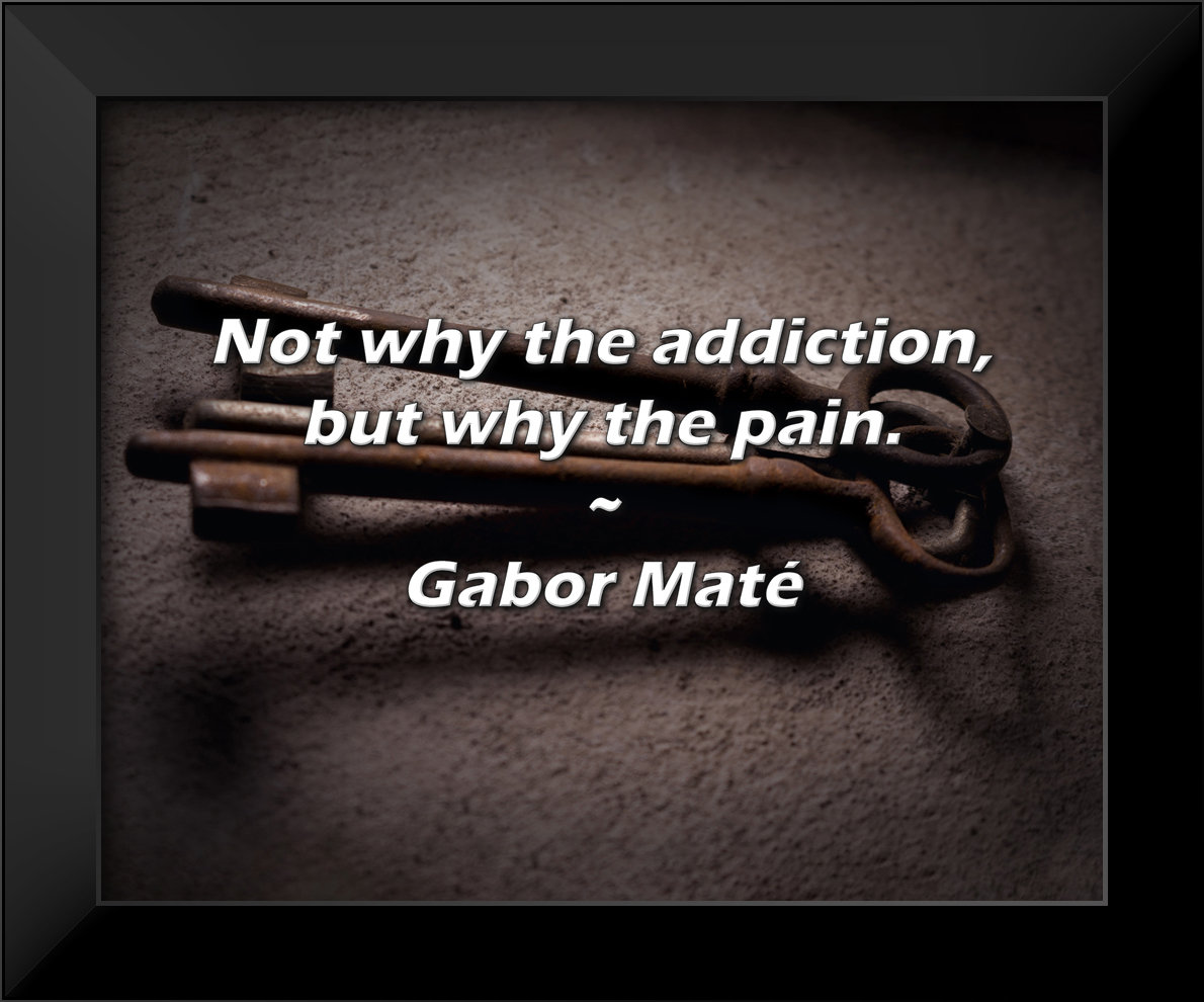 Latitude Run® Gabor Maté Quote: Not why the addiction, but why the pain ...
