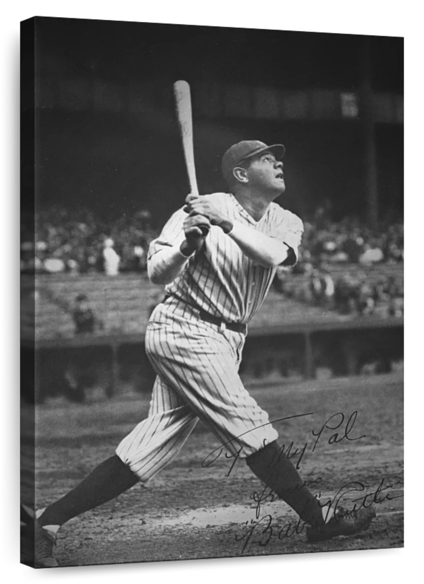 Elephant Stock Babe Ruth | Wayfair