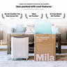 Mila Air Purifier with Overreactor Filter for Heavy Pollution & Reviews ...