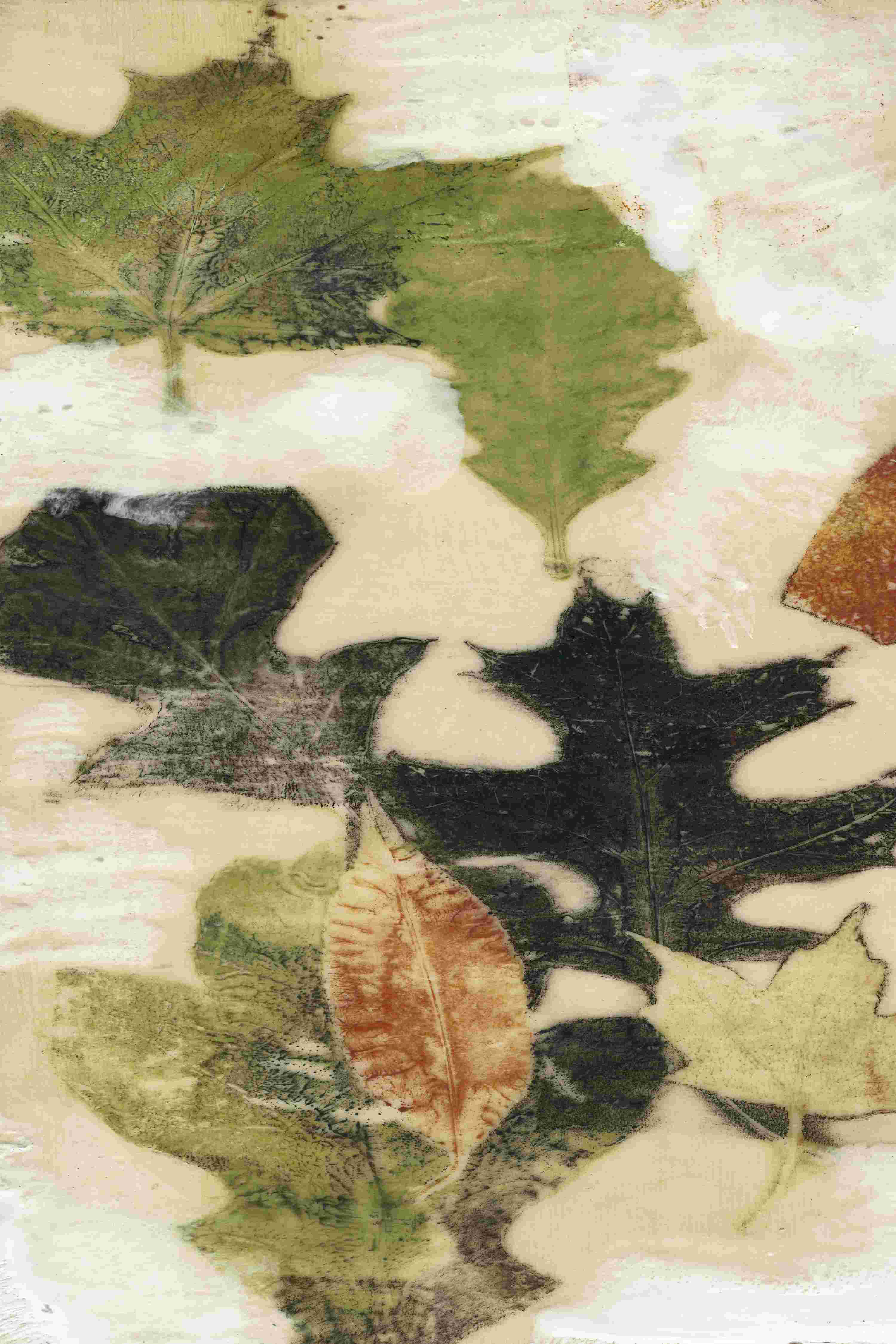 Red Barrel Studio Leaf Dance III - Wayfair Canada