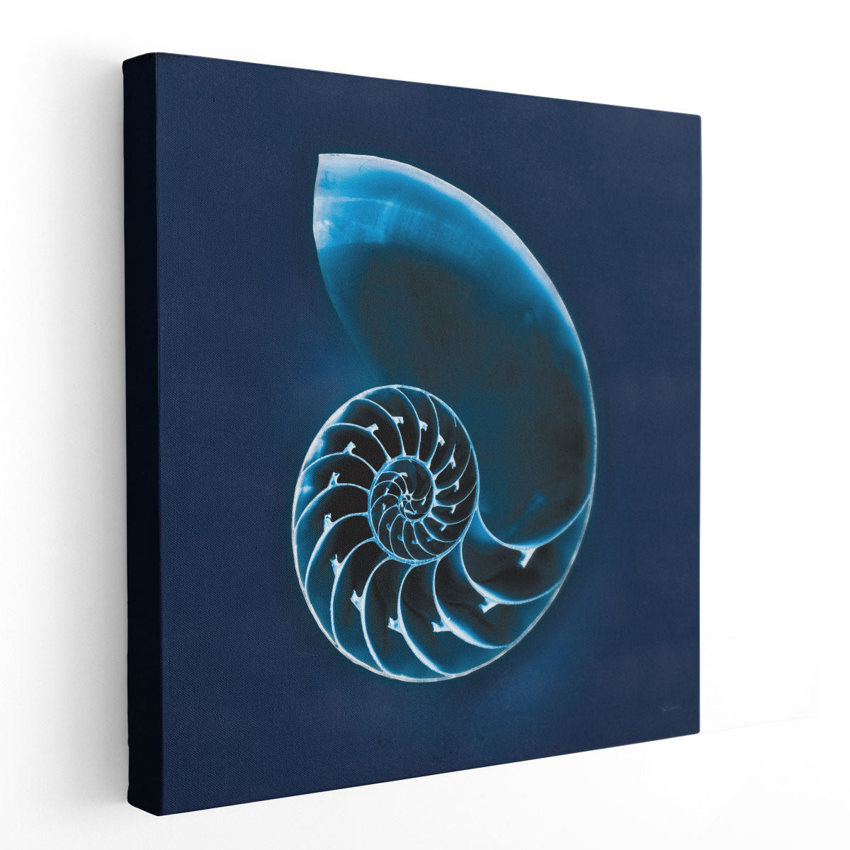 Beachcrest Home™ Cyanotype Sea II - Canvas Print Wall Art | Wayfair