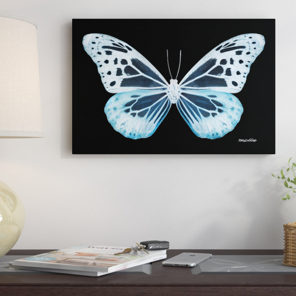 East Urban Home 'Miss Butterfly X-Ray XXIV' Graphic Art Print on Canvas ...