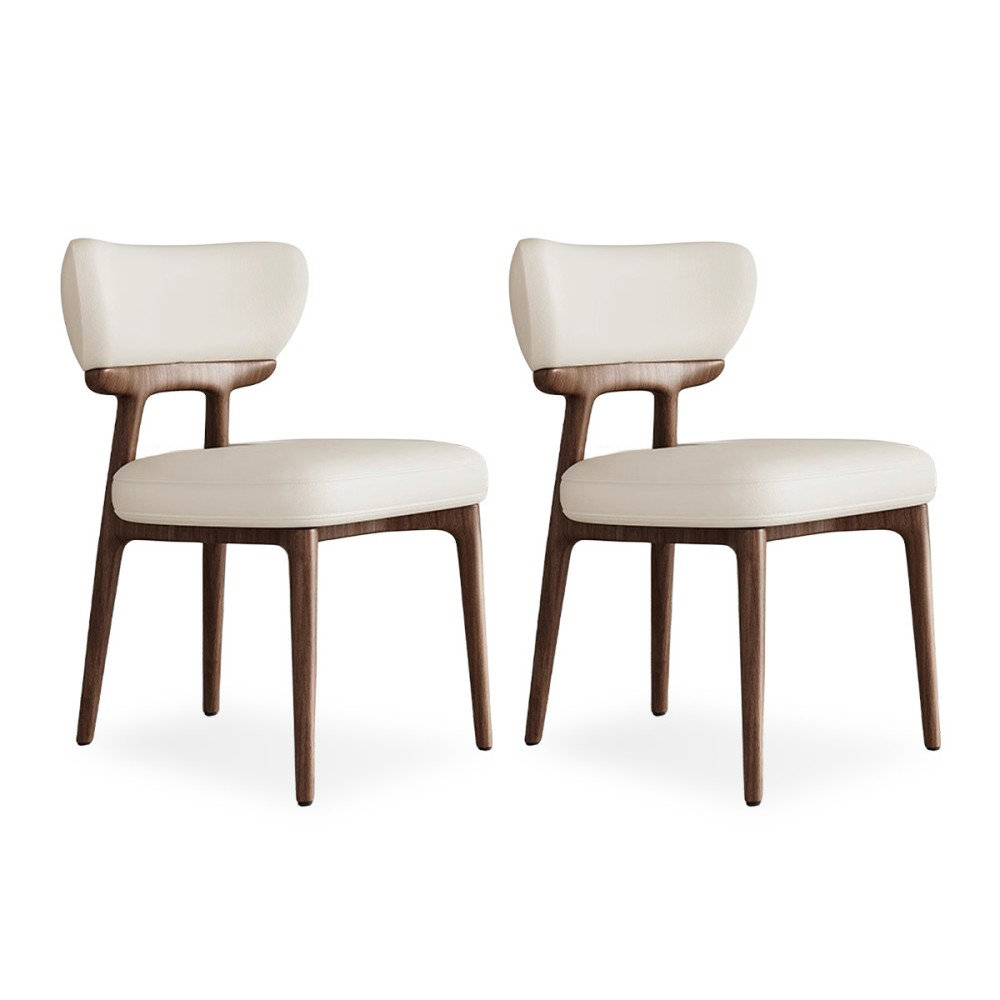 Mass Furni Nut-brown + White Solid back side Chair(Set of 2) | Wayfair