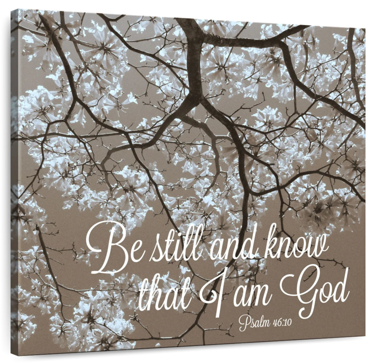 Ebern Designs Tergel Be Still Bible Verse | Wayfair