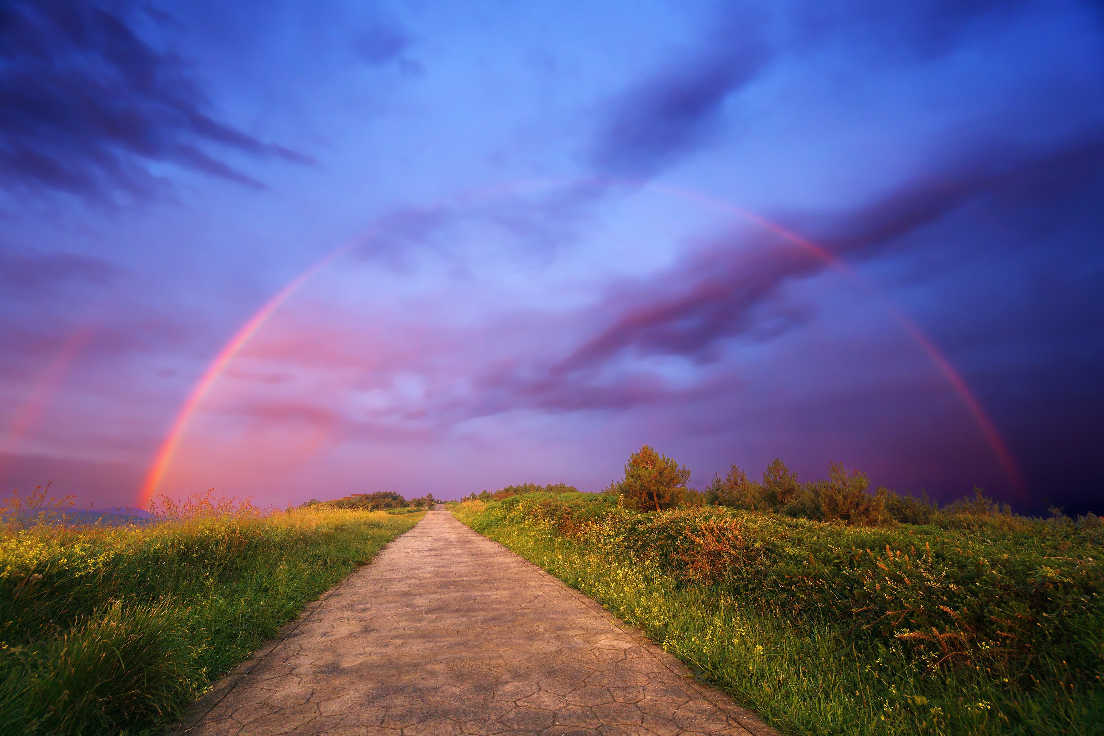 Ebern Designs Path to the Rainbow - Unframed Illustration on Canvas ...
