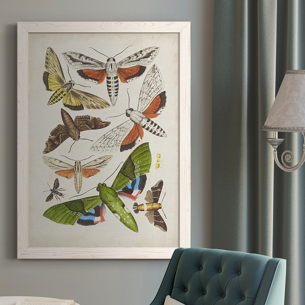 August Grove Lehn Antique Moths II Framed On Canvas Print | Wayfair