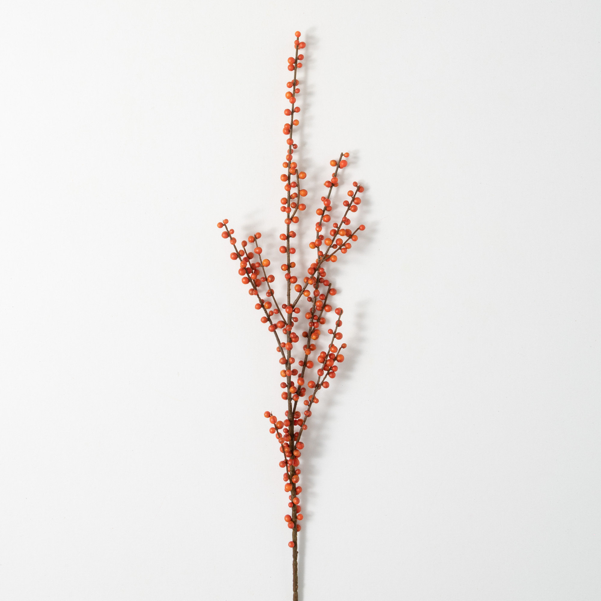Primrue Popel Berry Spray | Wayfair
