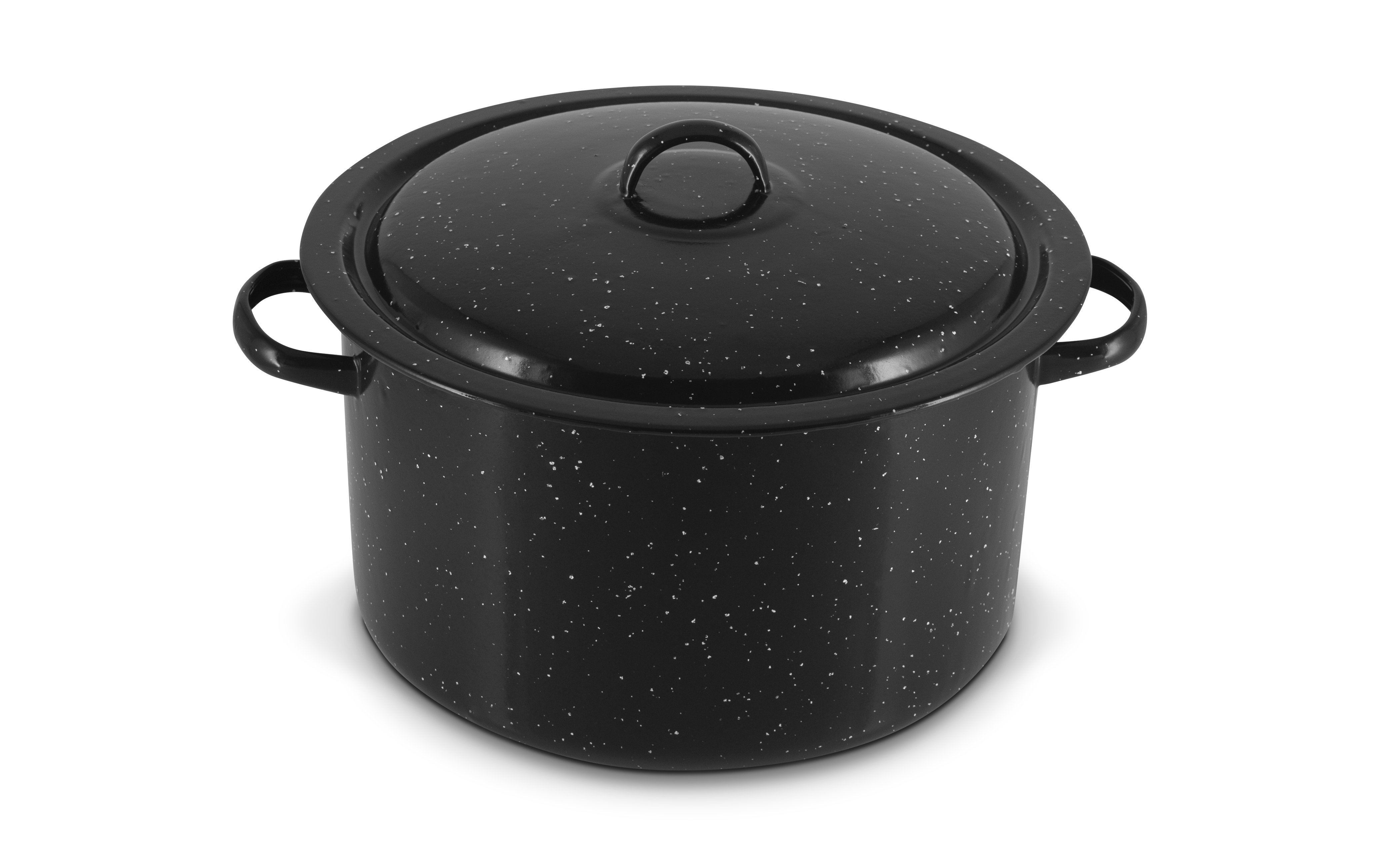 Eternal 12 qt. Non-Stick Carbon Steel Stock Pot with Lid & Reviews ...