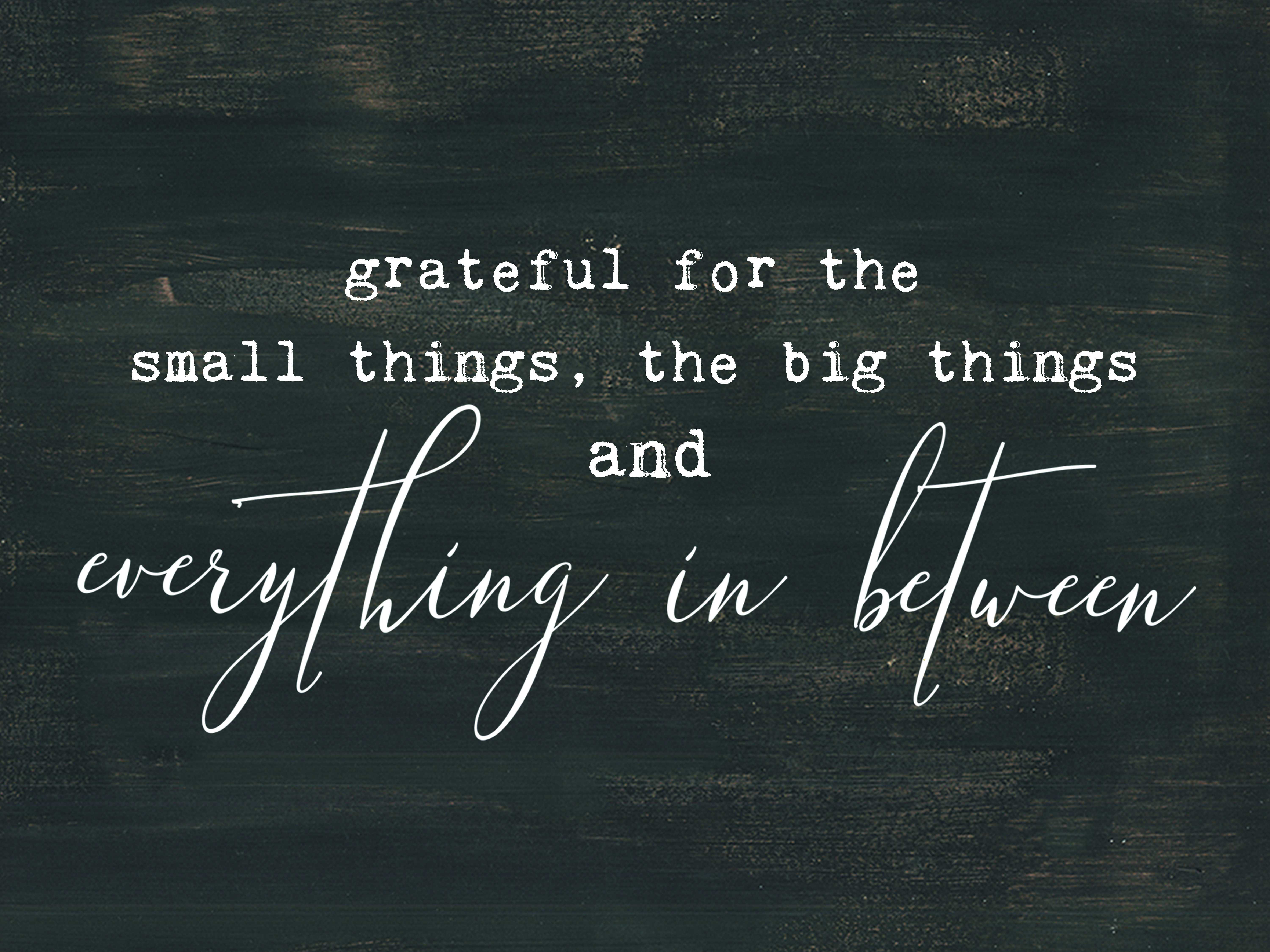 The Twillery Co.® Grateful For Everything 2 - Wrapped Canvas Textual ...