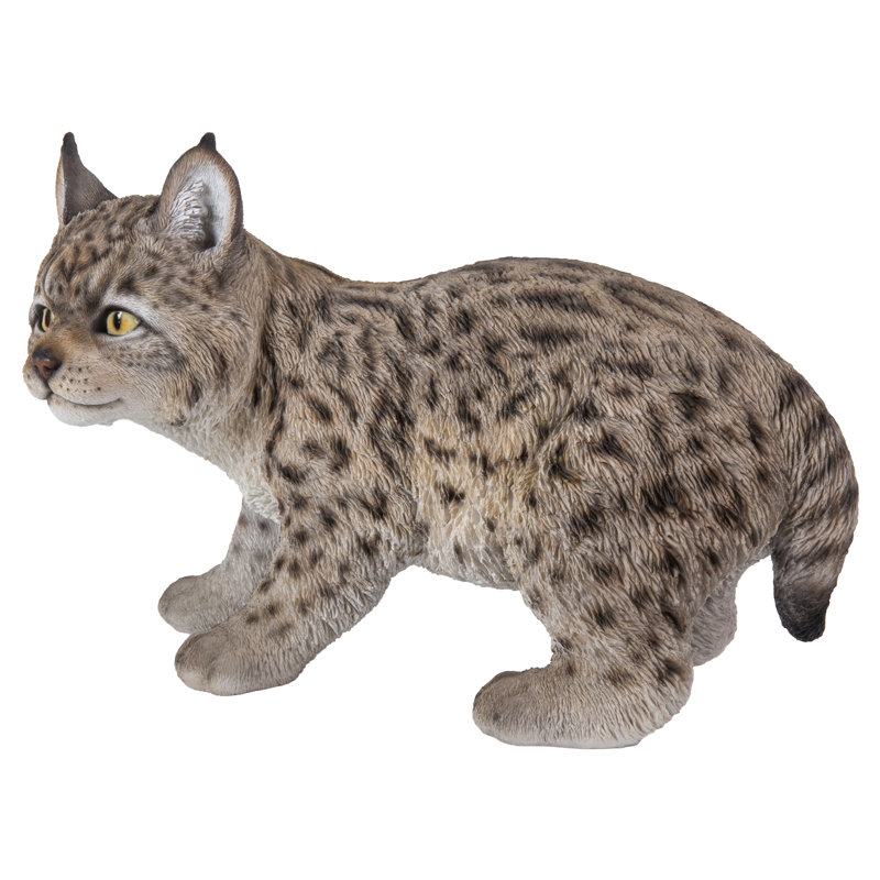 Hi-Line Gift Ltd. Lynx Kitten Statue & Reviews | Wayfair