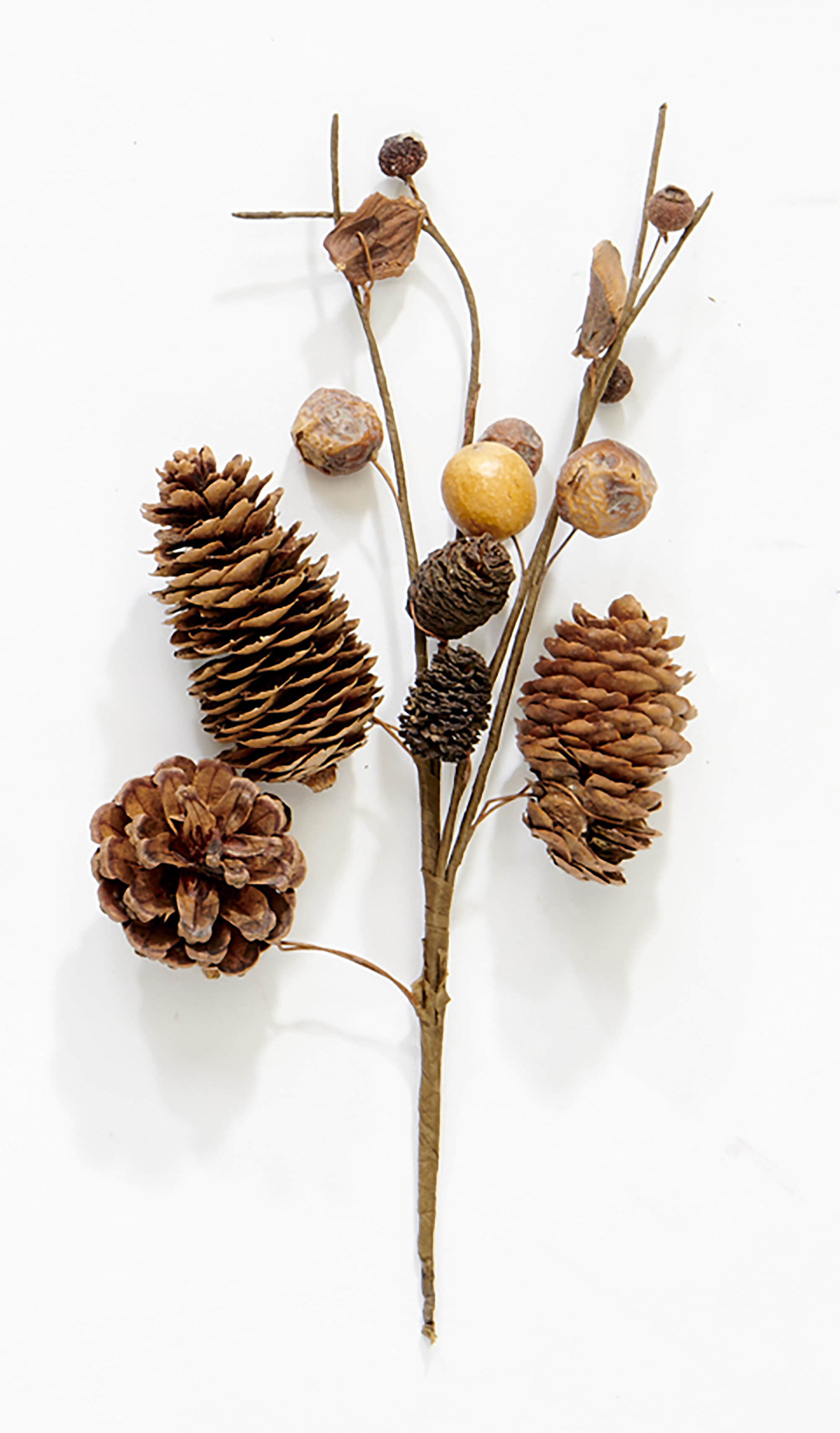 The Holiday Aisle® Pine Cone and Pod Pick | Wayfair