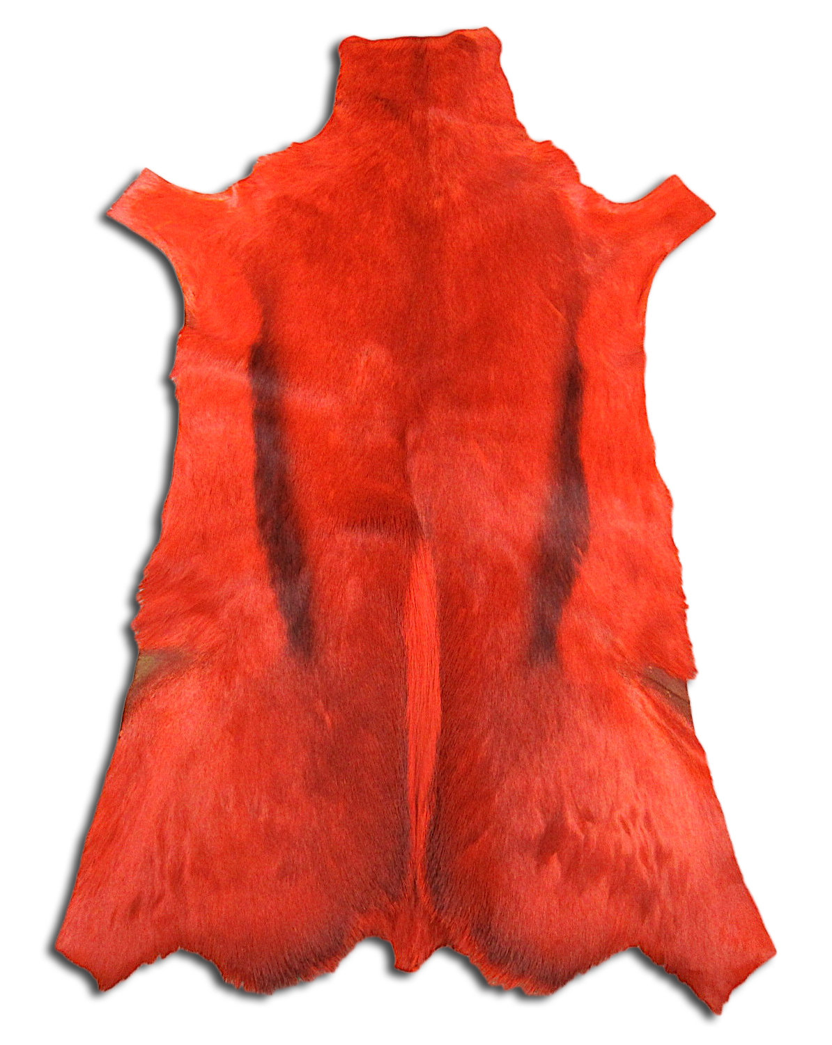 Loon Peak® Burnt Orange Dyed Springbok Skin | Wayfair