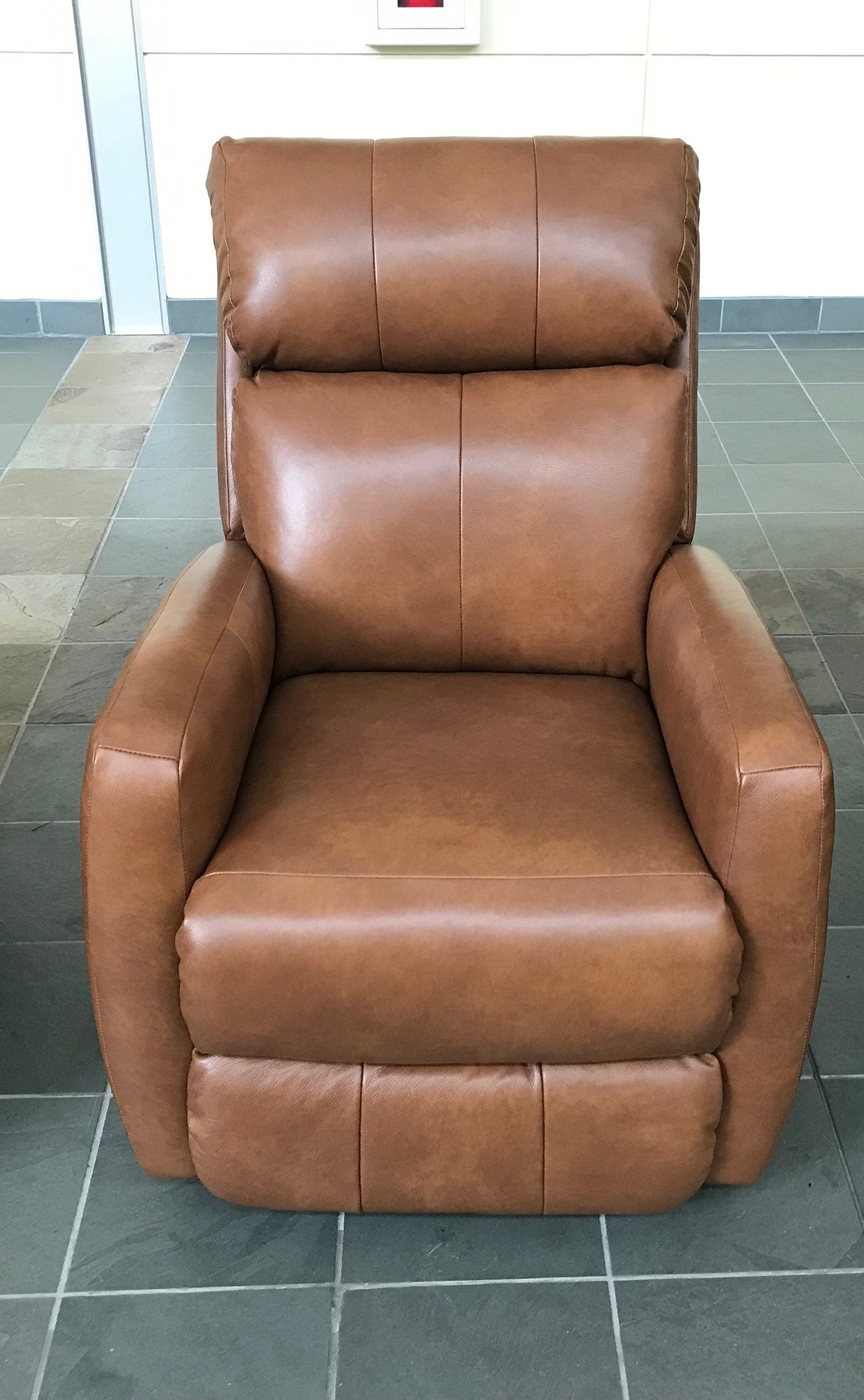 Southern Motion Primo Leather Power Recliner - Wayfair Canada