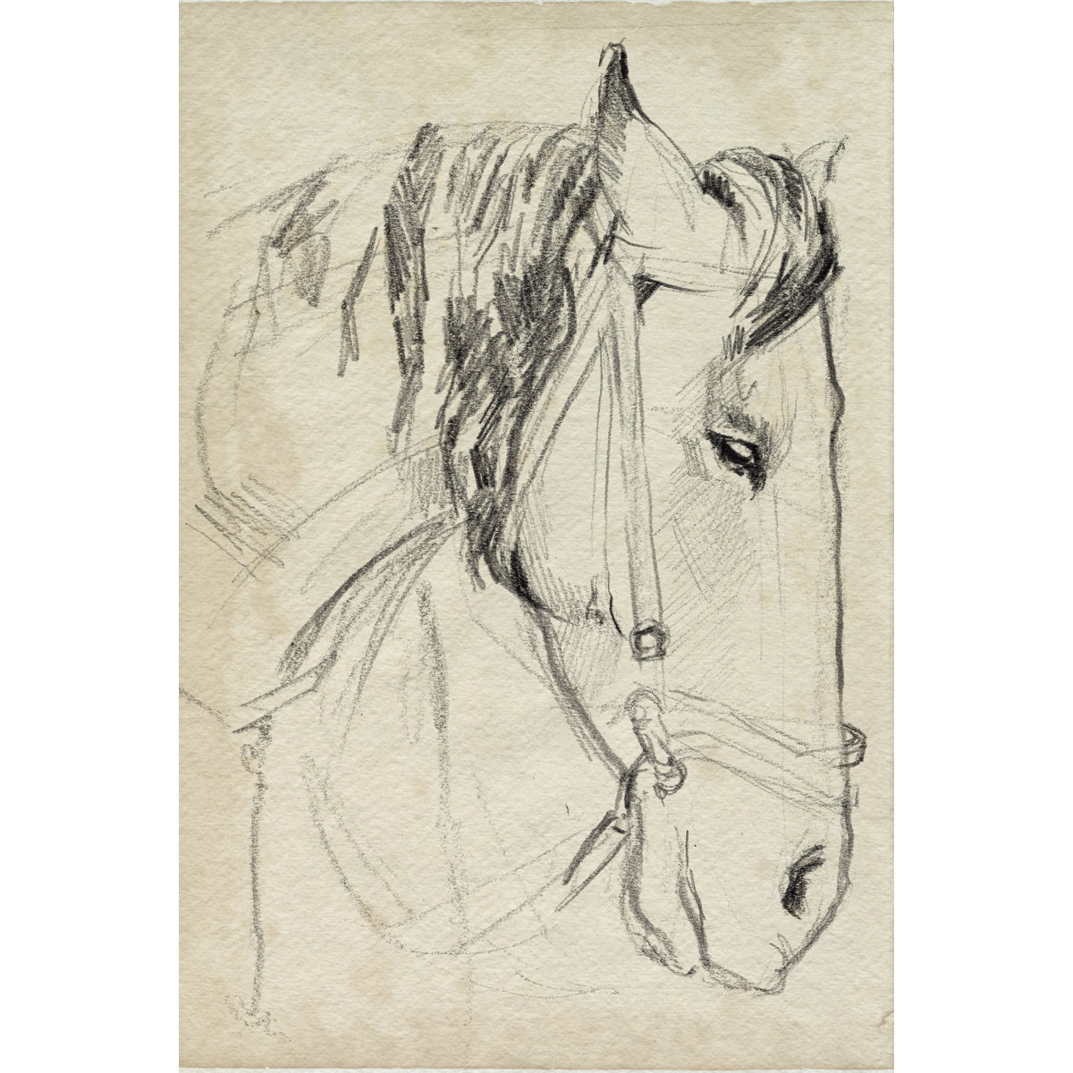 Orren Ellis Croquis de cheval en bride I - Wayfair Canada