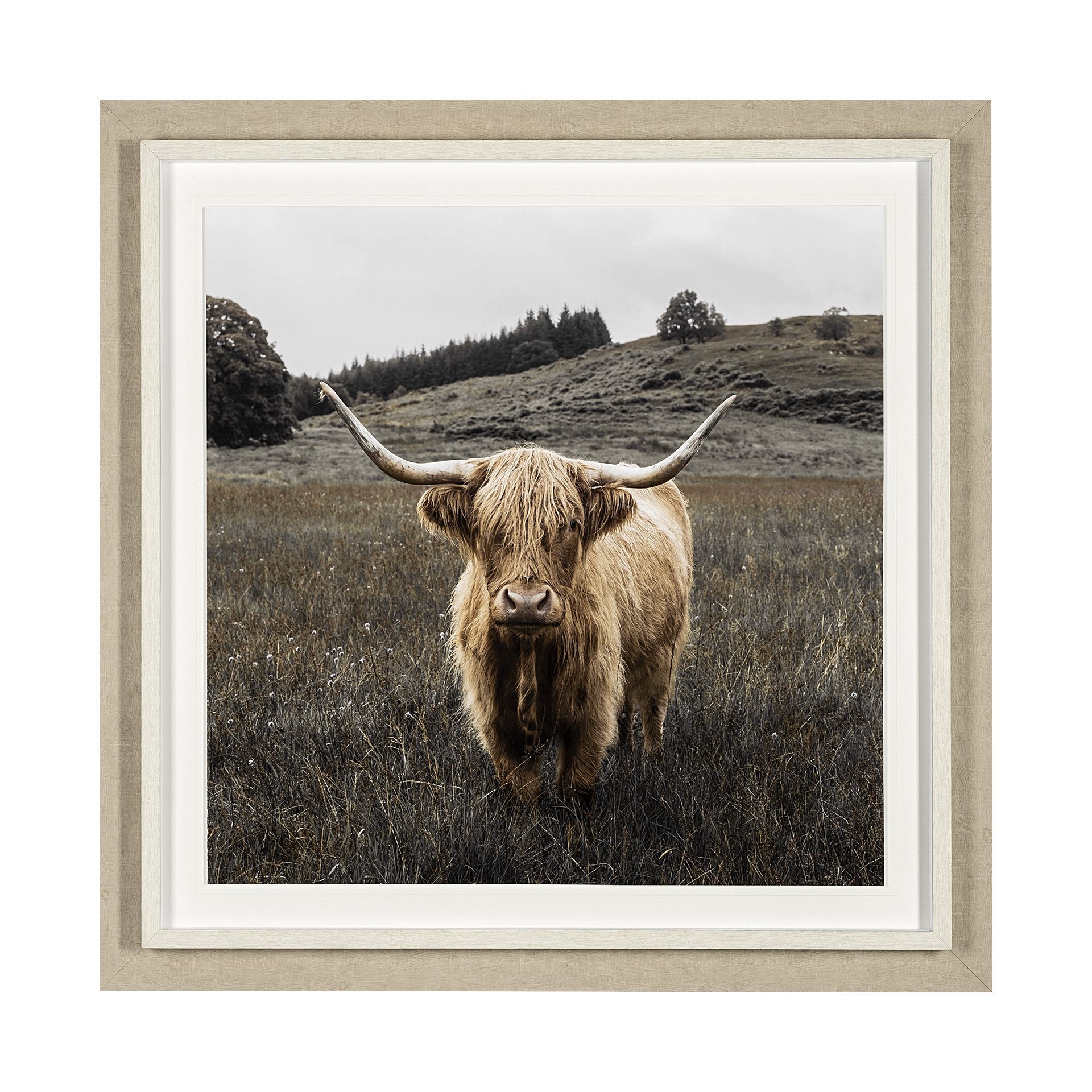Foundry Select Bernie by Assaf Frank a Framed Art Print Matted under ...