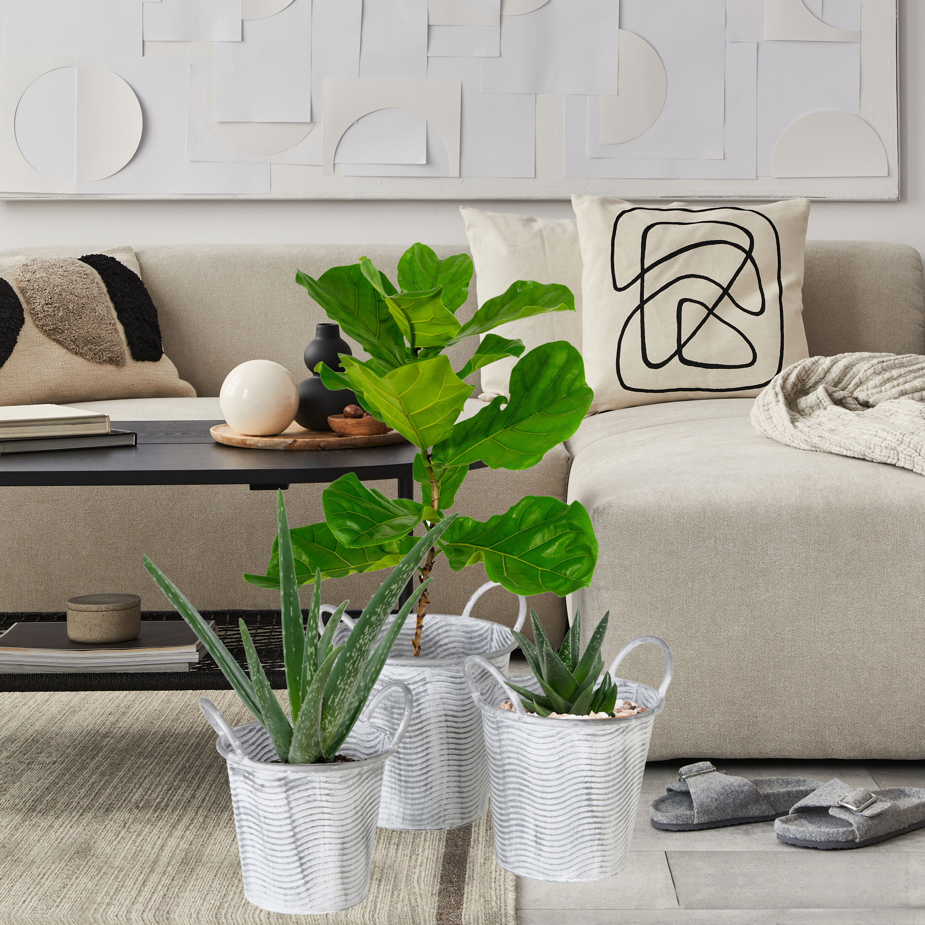 Gracie Oaks 3 Piece Corrugated Wave Planter Set - Wayfair Canada