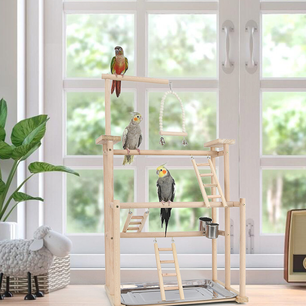 UMMA, LLC Wood Bird Exercise Play Gym,Bird Playground - Wayfair Canada