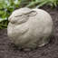 Campania International Fat Rabbit Statue & Reviews | Perigold