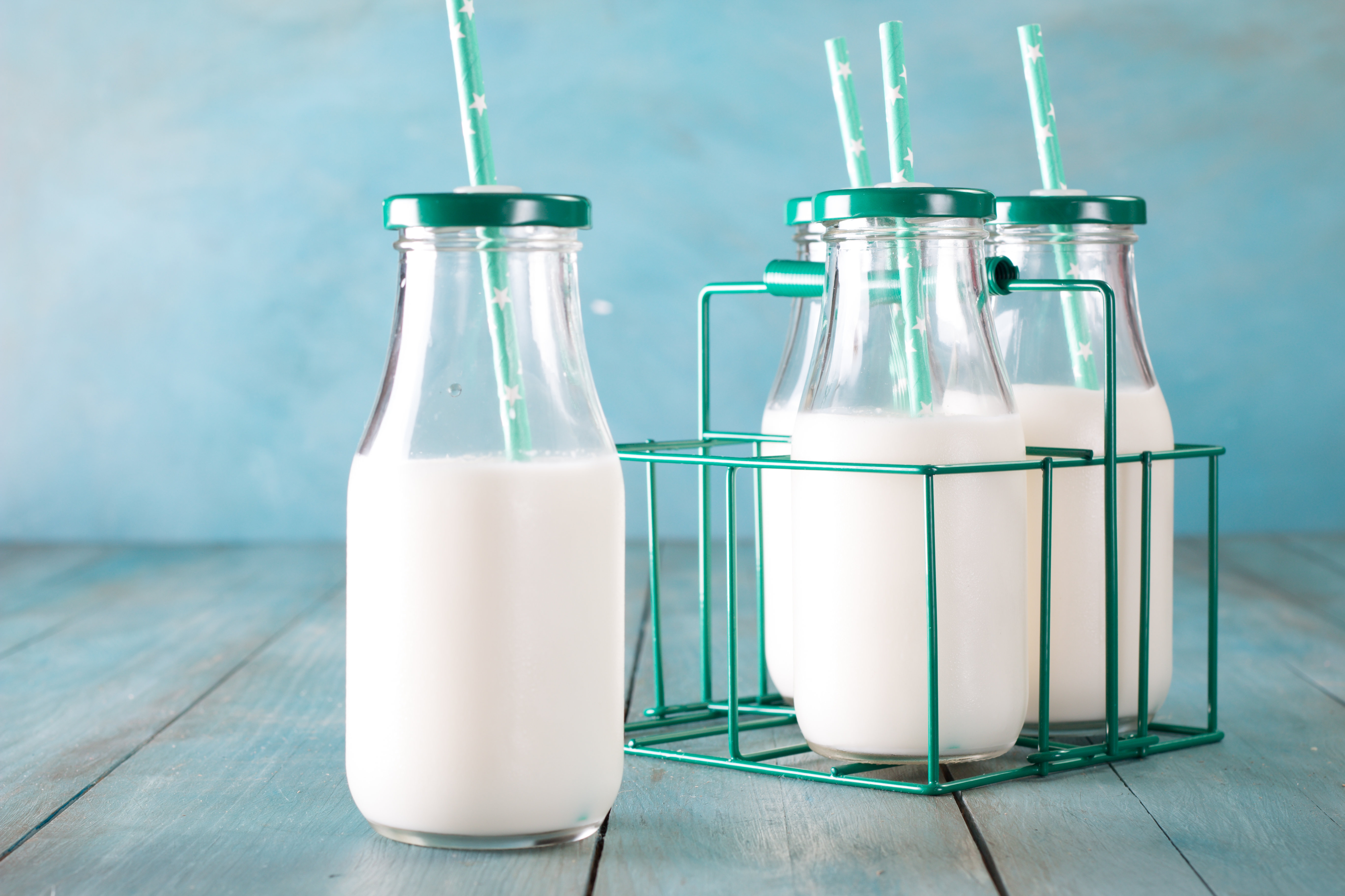 Ebern Designs A Bottles of Milk - Wrapped Canvas Photograph | Wayfair