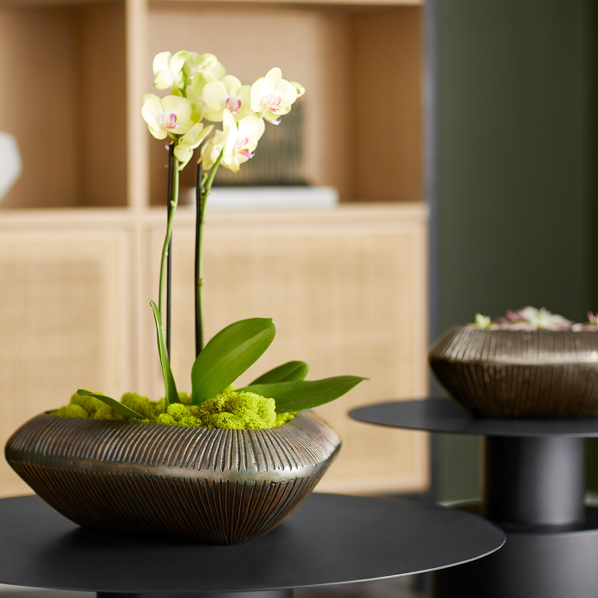 Cyan Design Prism Decorative Bowl | Wayfair