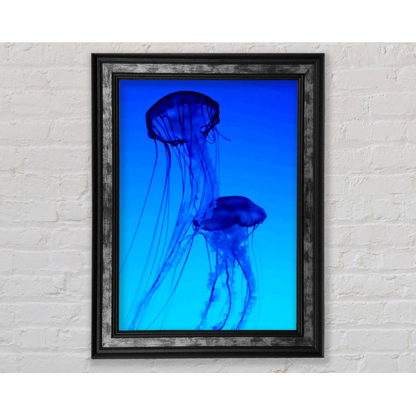 Bright Star Jellyfish Duo - Single Picture Frame Print | Wayfair.co.uk