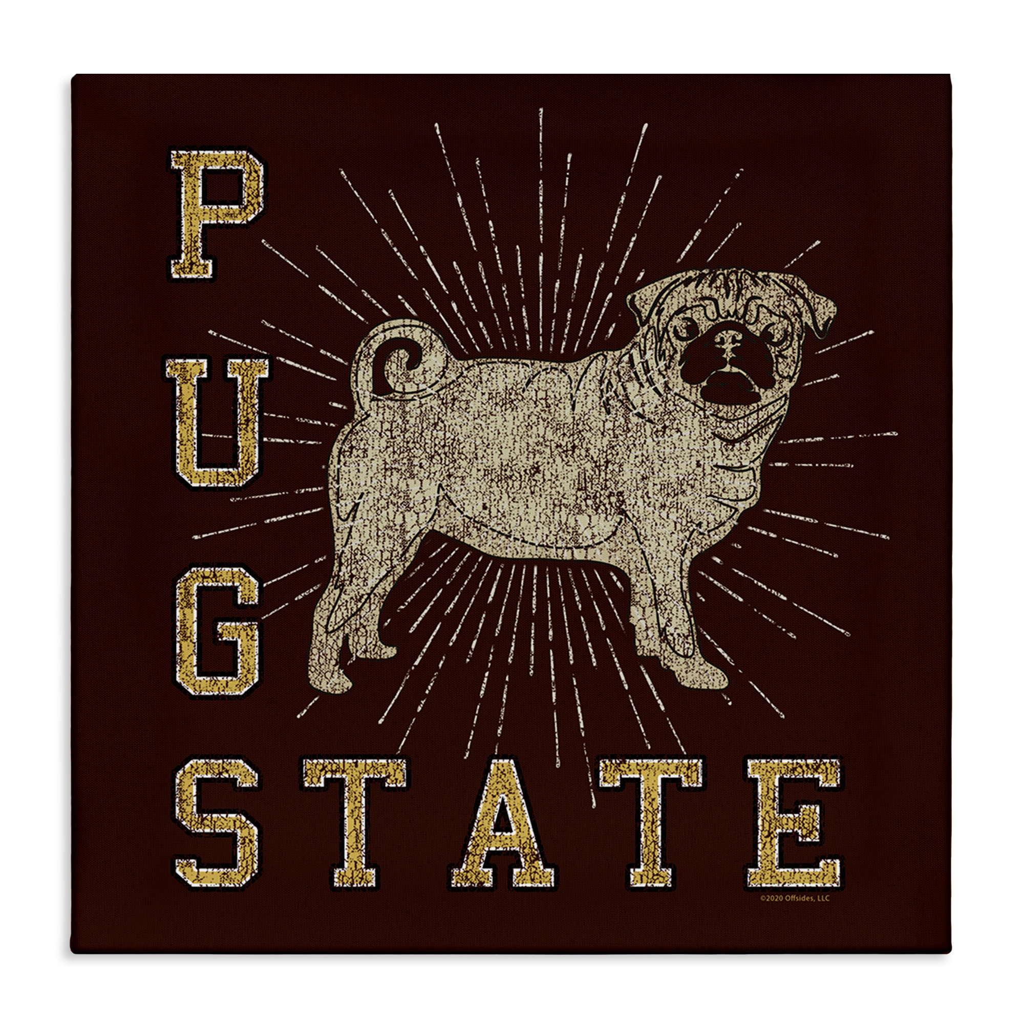 Loon Peak® Varsity Pug State Canvas Wall Art by Spirit Animals/Life Is ...