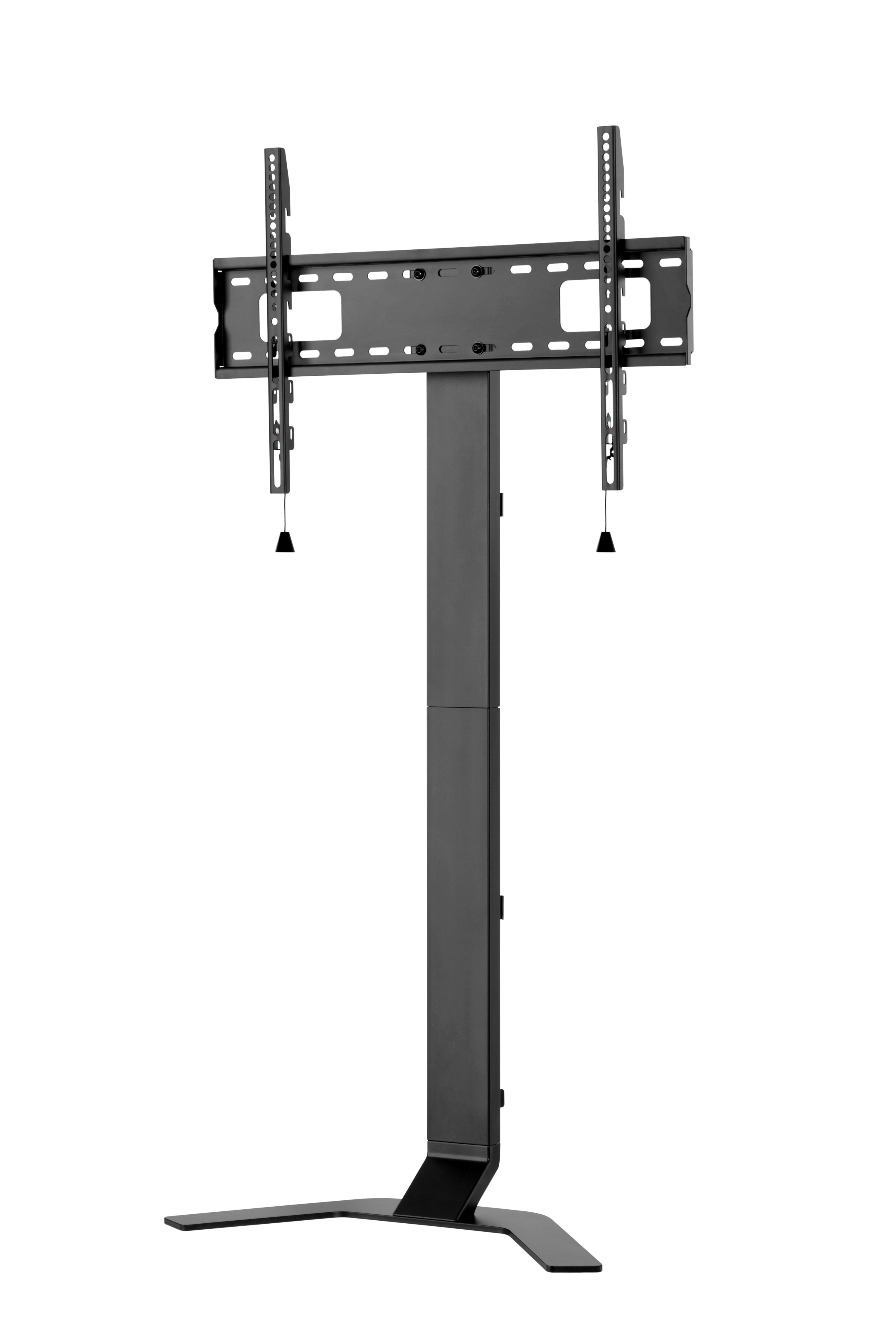 Symple Stuff Rayle Black Fixed Floor Stand Mount for Greater than 50 ...
