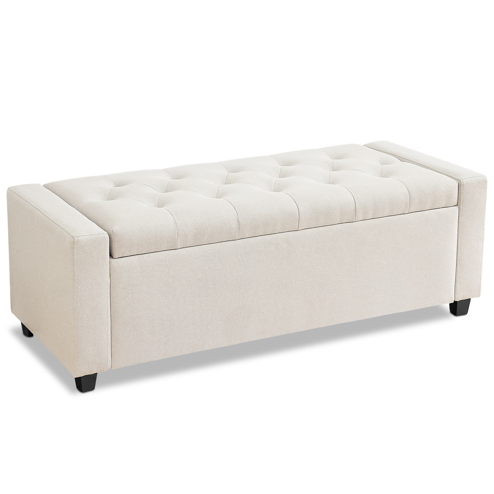 Latitude Run® Cineus End of Bed Storage Bench, Storage Ottoman Bench ...