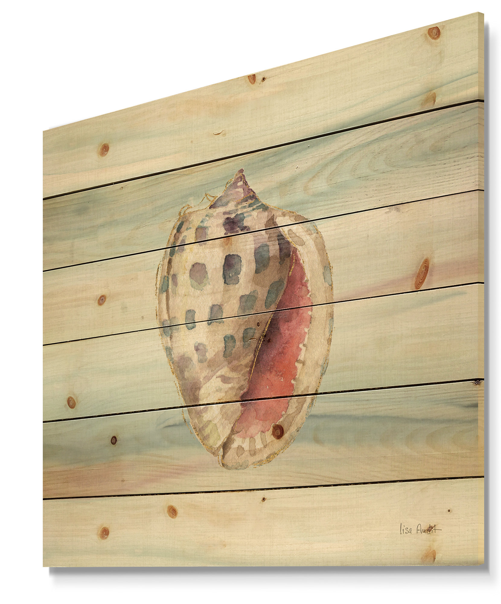 East Urban Home Gilded Sea Horn Shell on Blue - Nautical and Coastal ...