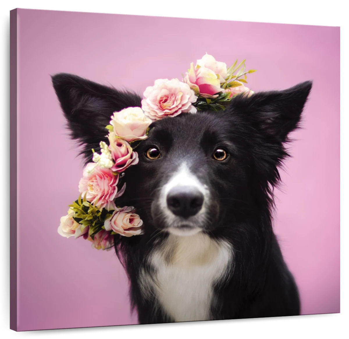 Ebern Designs Crowle Flower Crown Border Collie | Wayfair