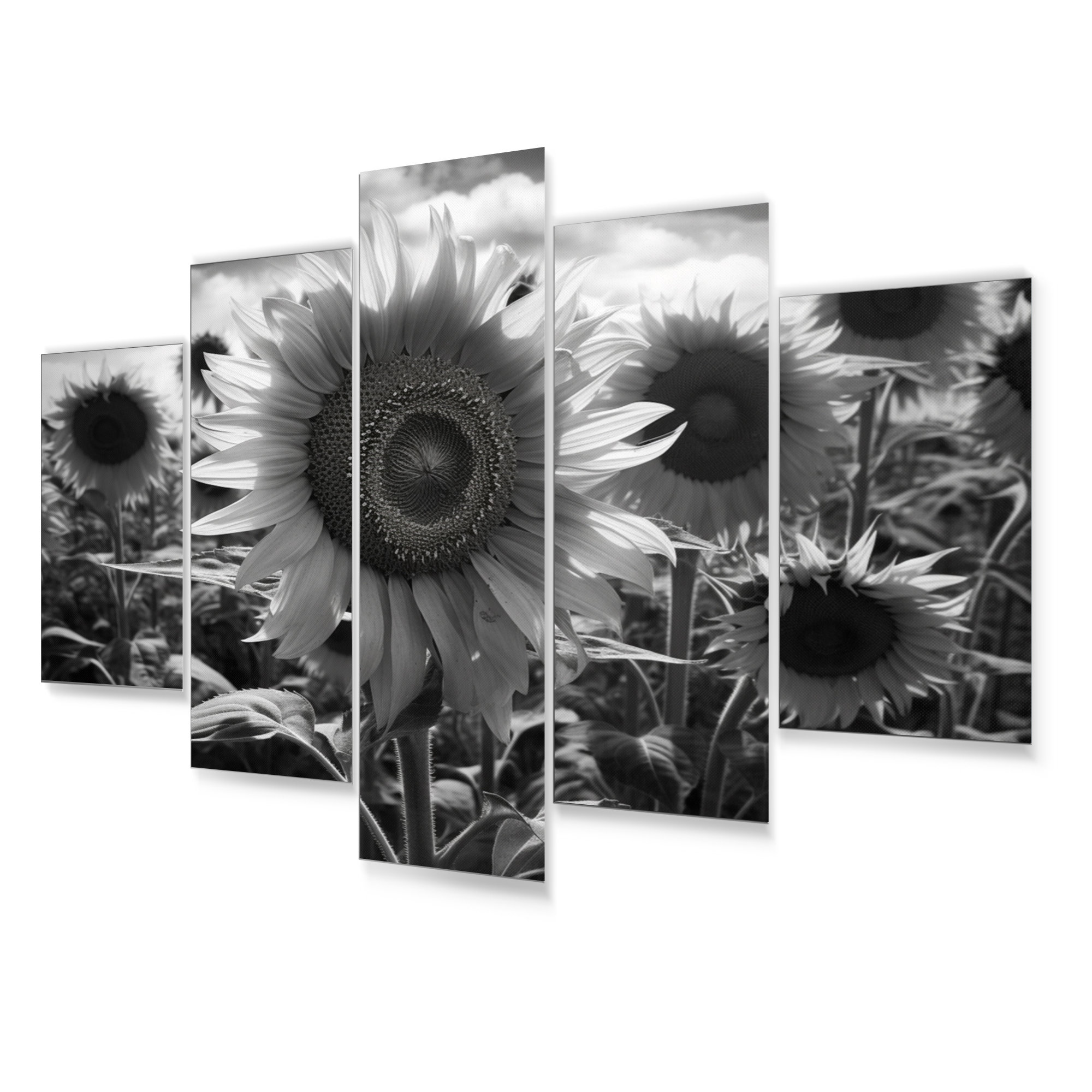 Design Art 5 Black White Sunflower Filed I Wall Decor Set Metal | Wayfair
