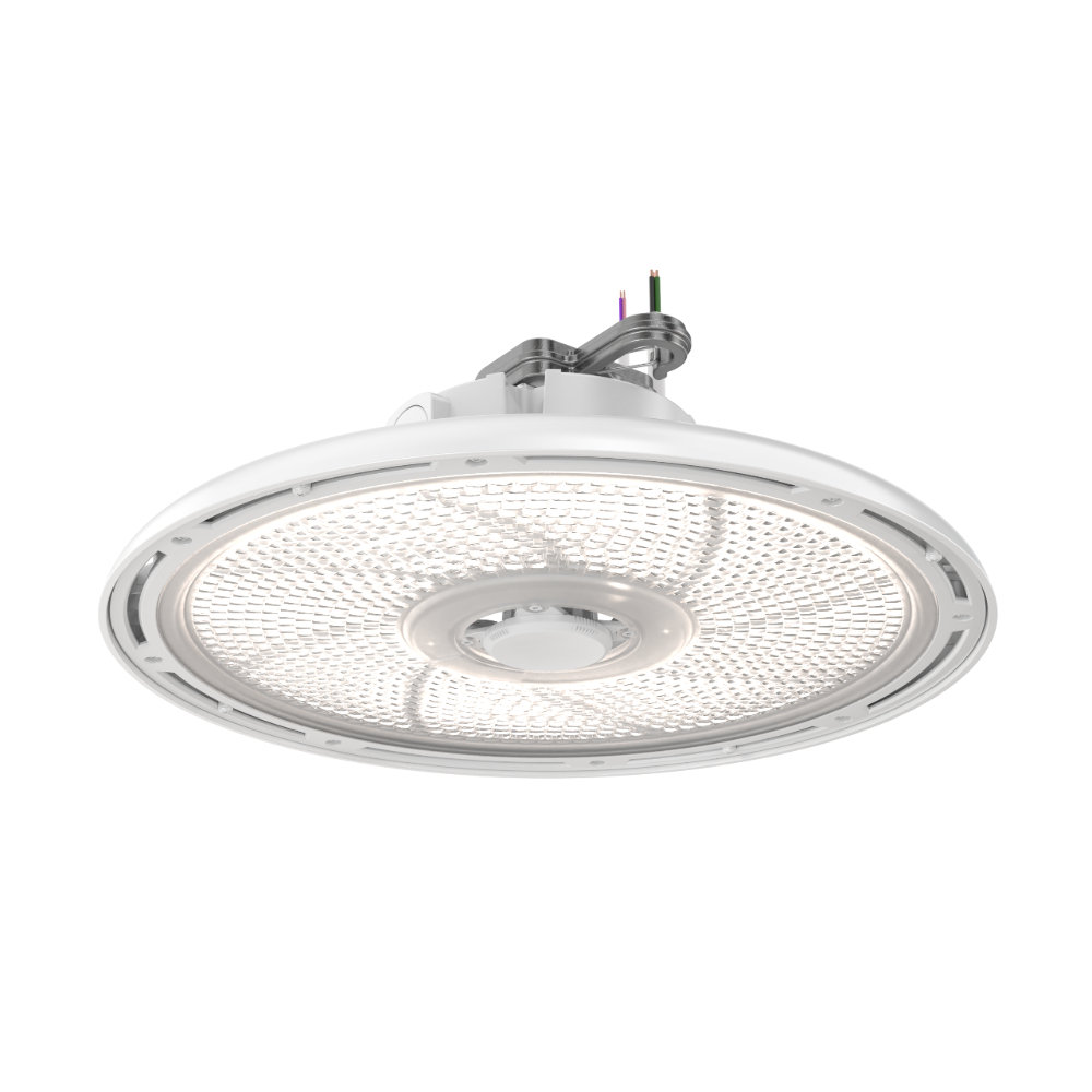 Lithonia Lighting 14.6 in. REBL LED High Bay Ceiling Light, 120-347V ...
