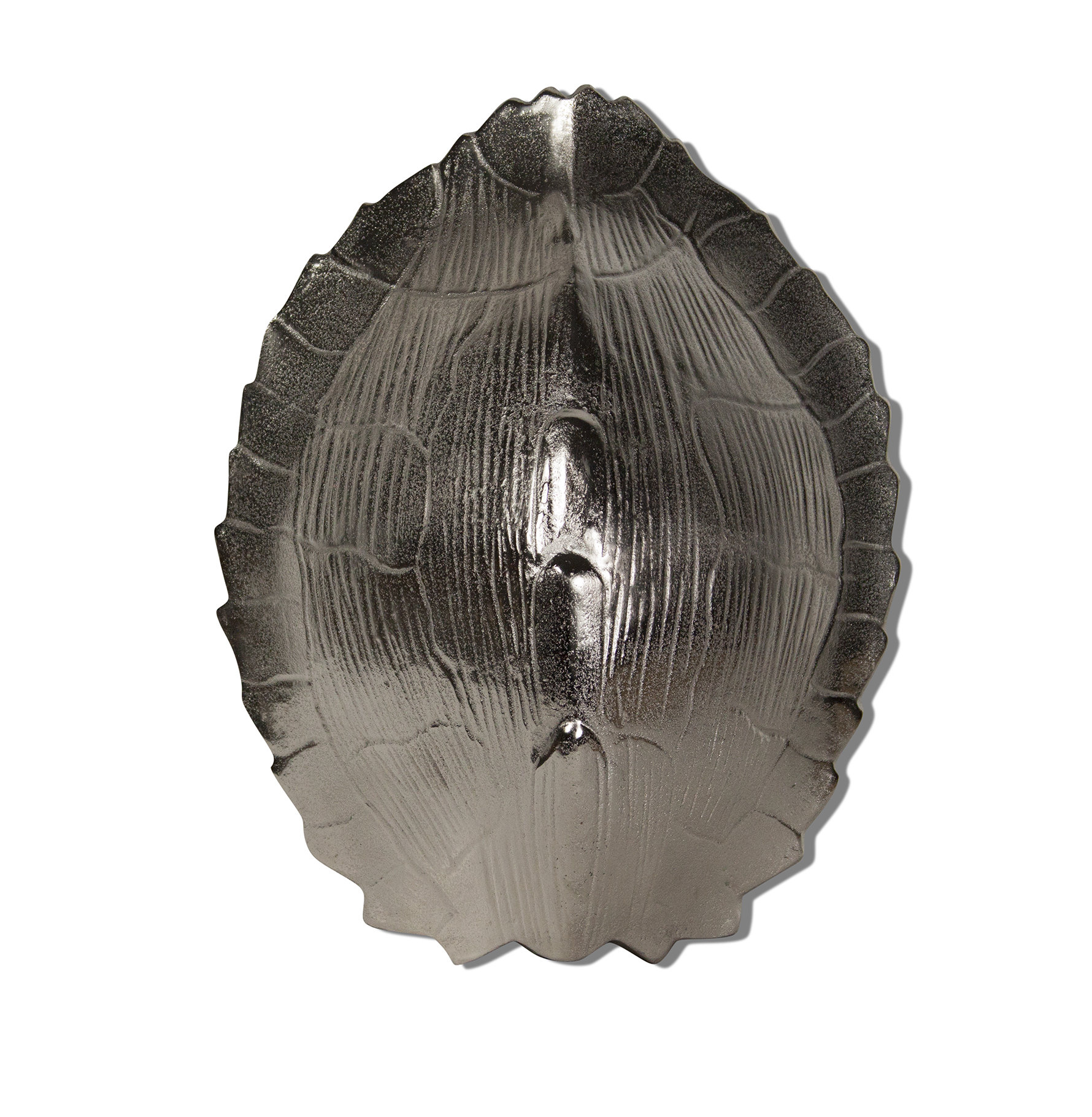 Ibolili Turtle Shell Wall Décor & Reviews | Wayfair