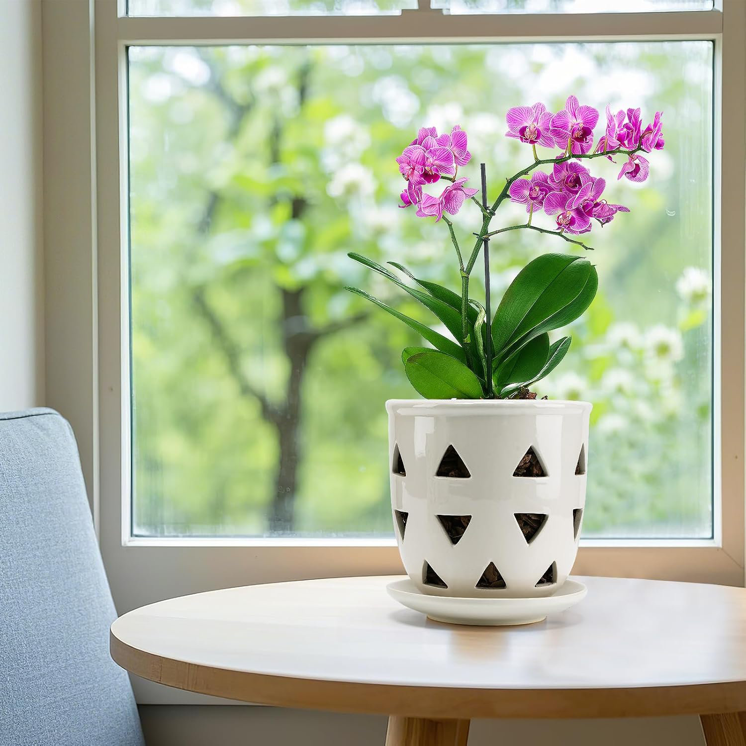Winston Porter 6" Ceramic Orchid Pot With Drainage Triangle Style | Wayfair