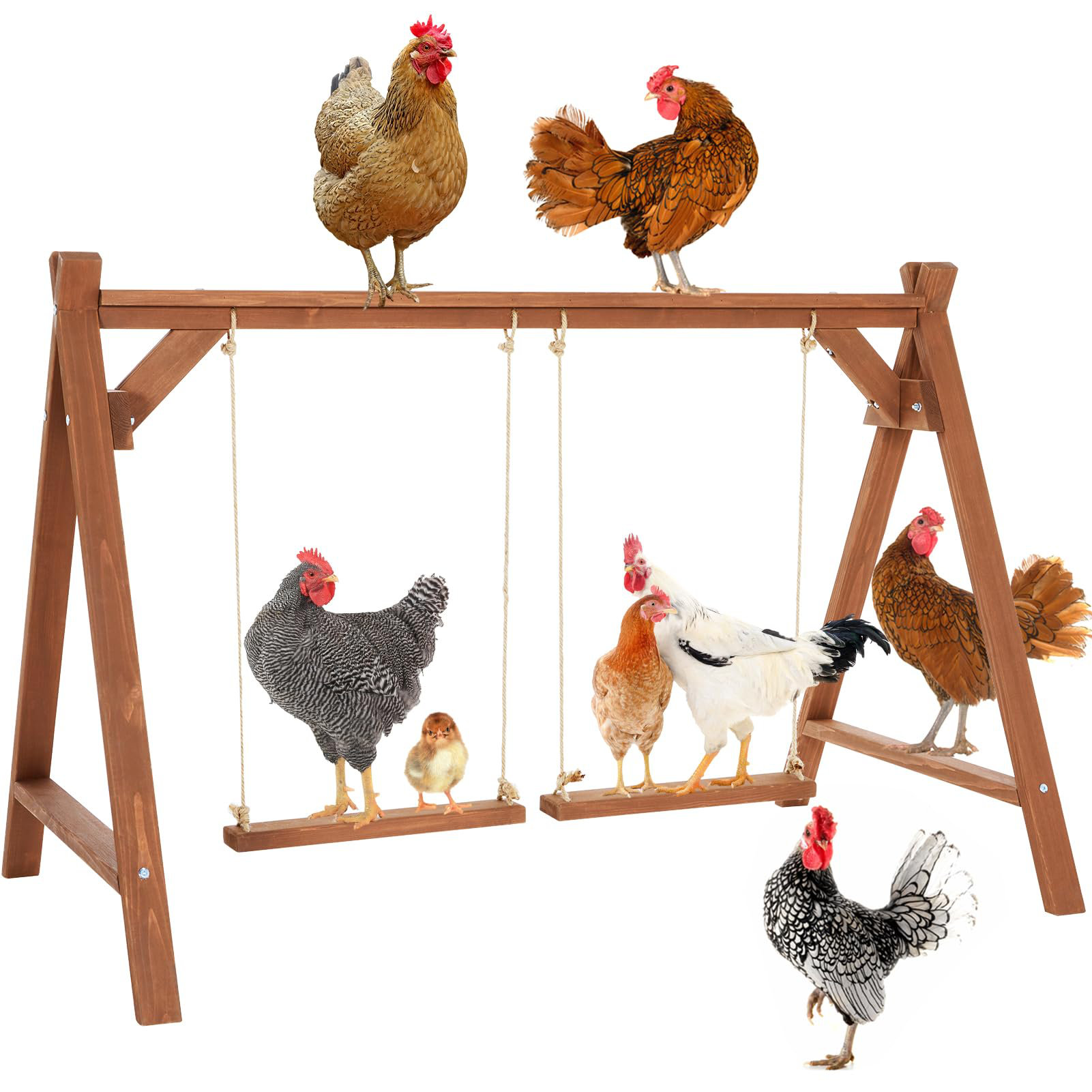 Ophelia & Co. Chicken Perch Pole With 2 Chicken Swings, Suitable For 6 ...