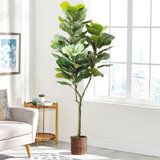 Over 6 ft Faux Trees You'll Love | Wayfair