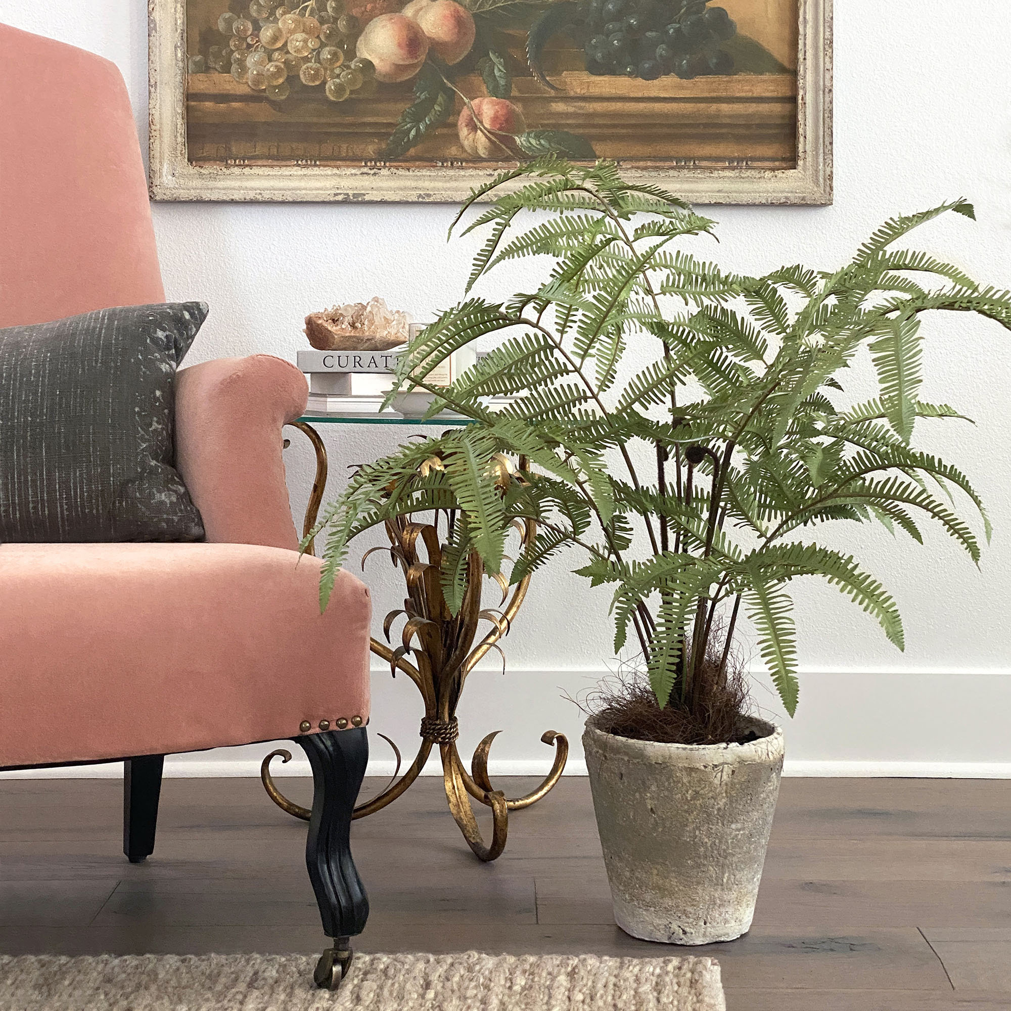 Park Hill Collection Large Flat Fern, Potted | Wayfair