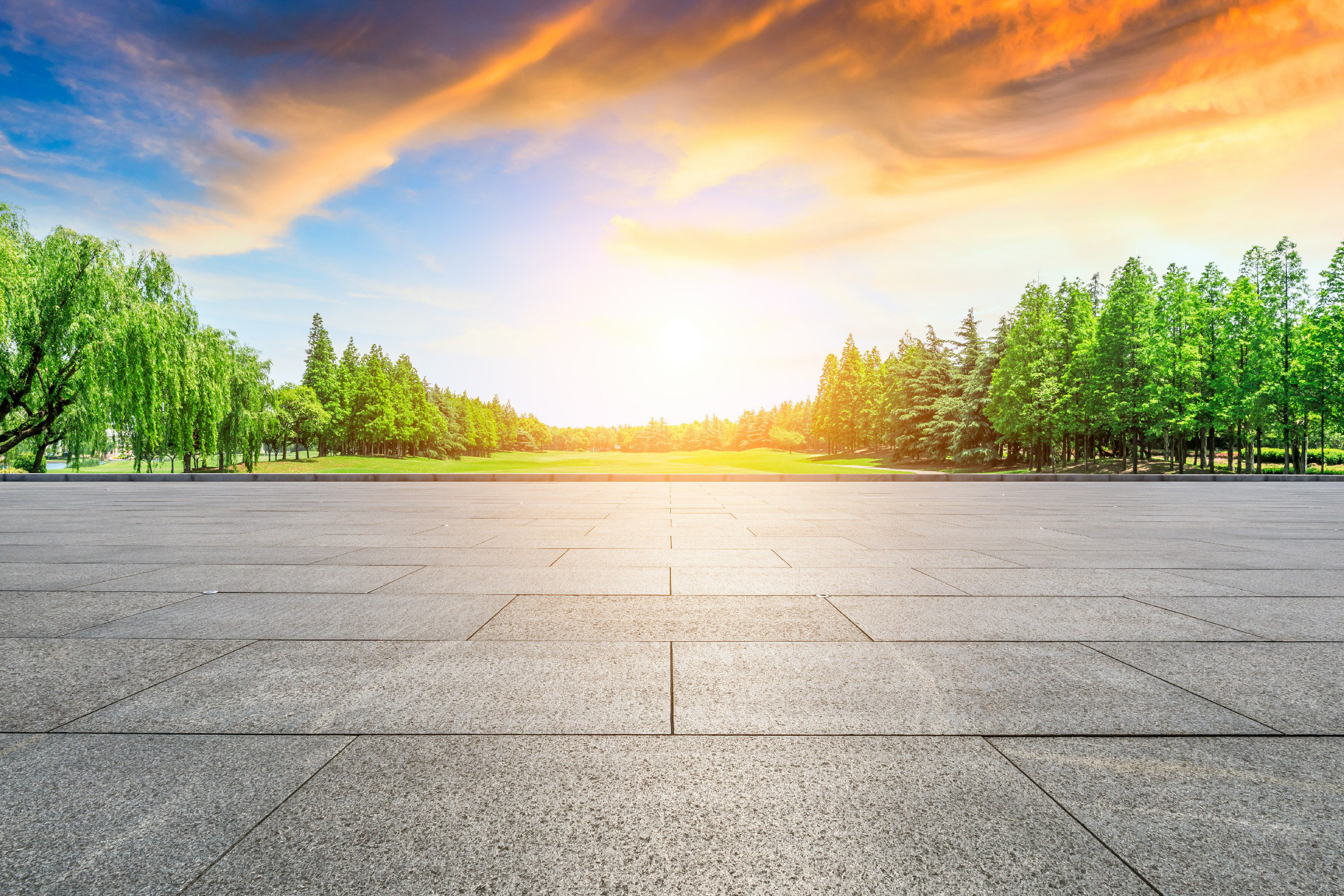 Ebern Designs Green Forest Scenery - Wayfair Canada