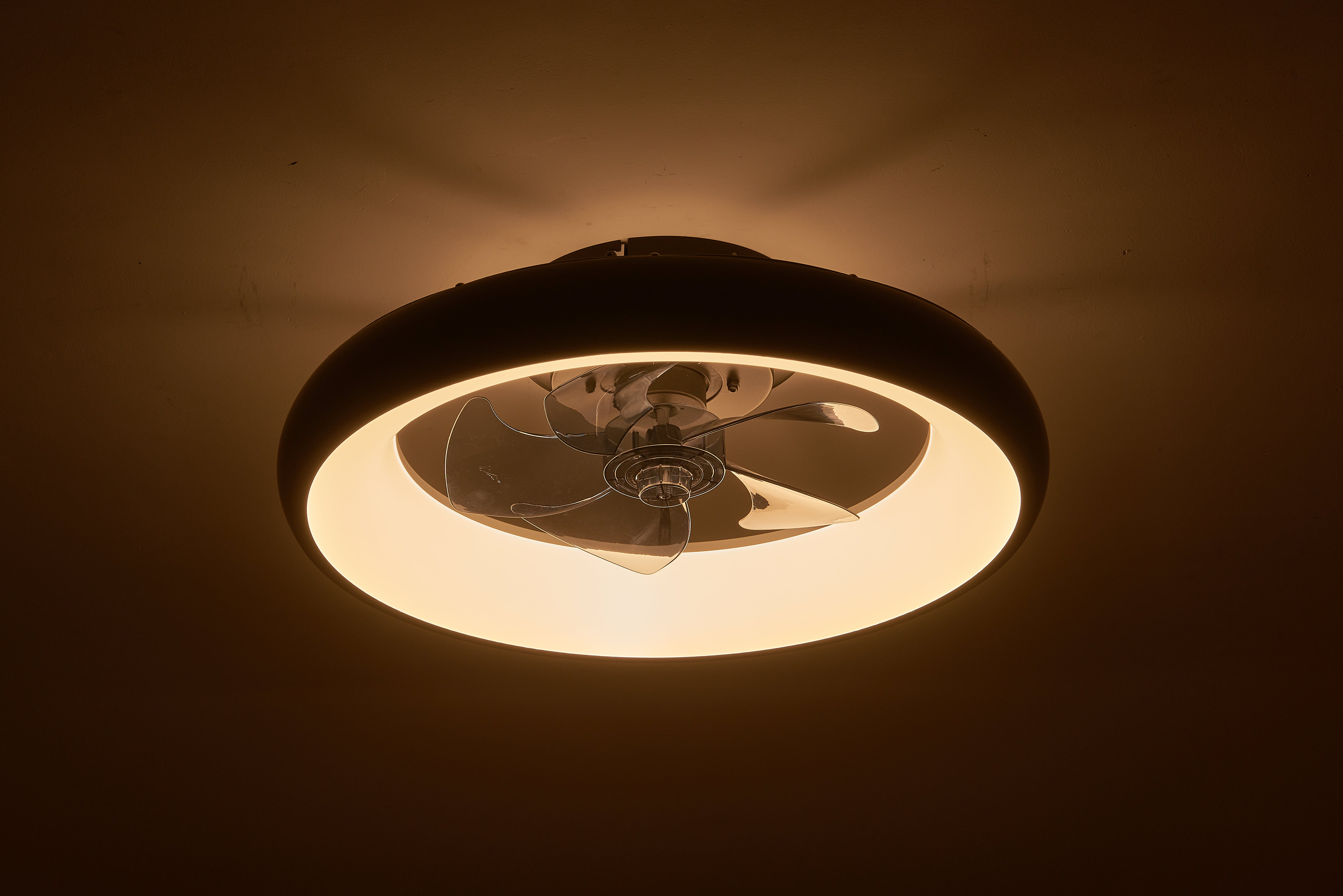 Wrought Studio 19.7'' Black LED Ceiling Fans With Lights, Dimmable And ...