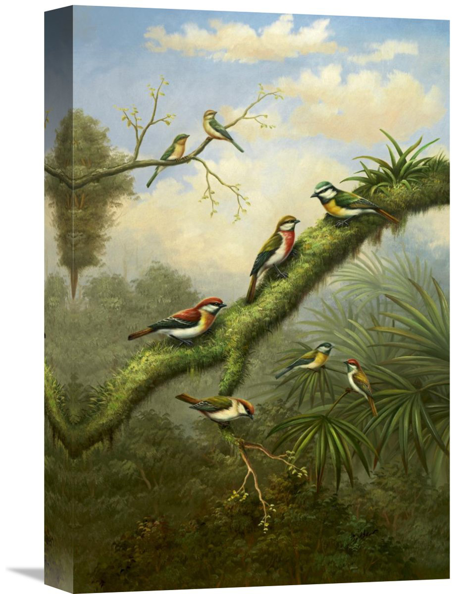 Global Gallery 'Birds of Plenty' by Bilben Painting Print on Wrapped ...