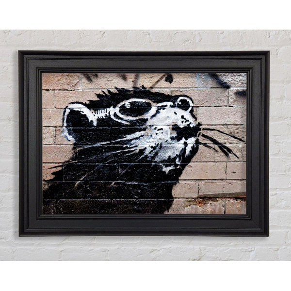 Happy Larry Rat Sunglasses - Single Picture Frame Art Prints | Wayfair ...