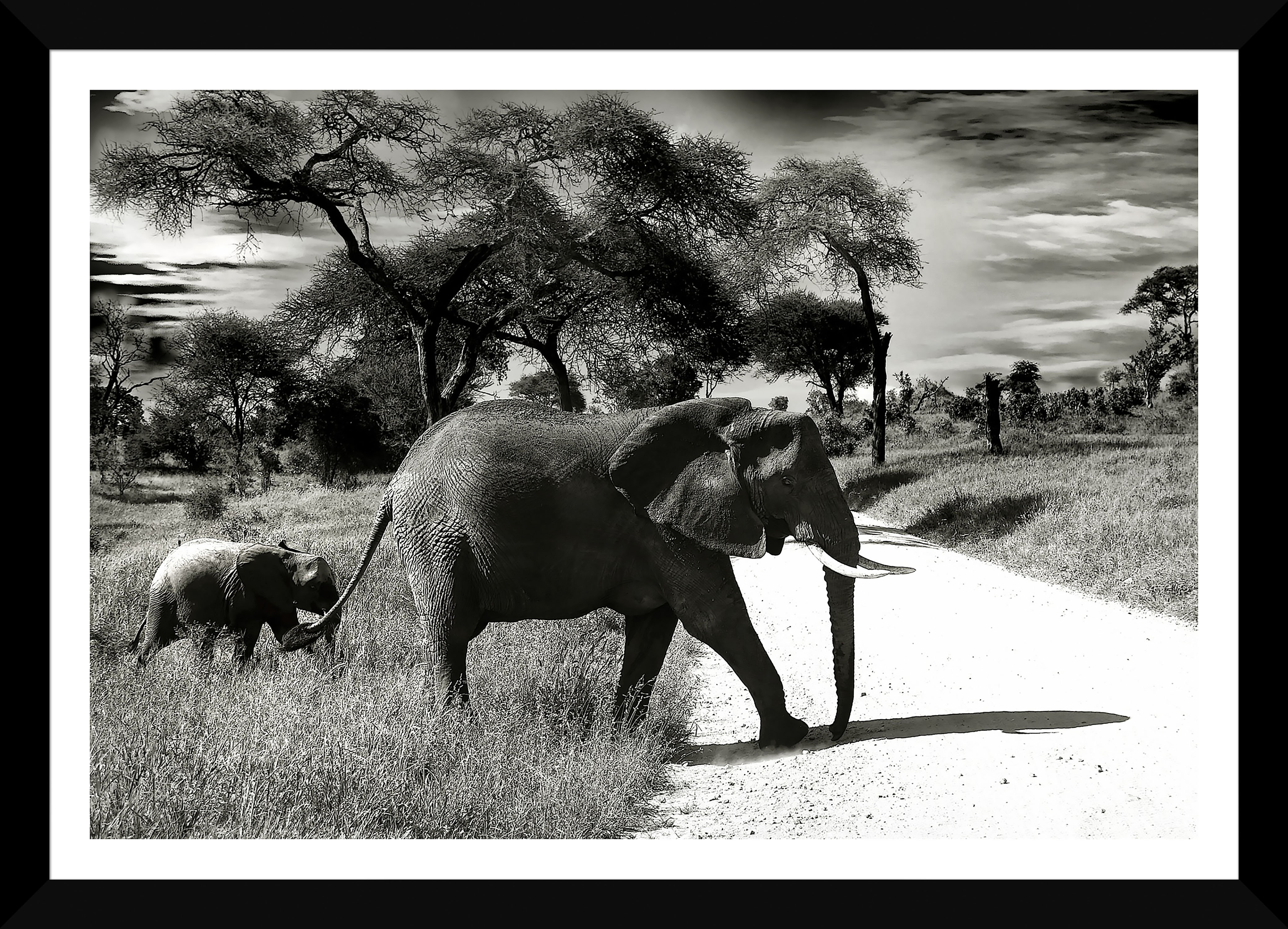Soicher Marin 'African Elephants' - Picture Frame Photograph on Paper ...