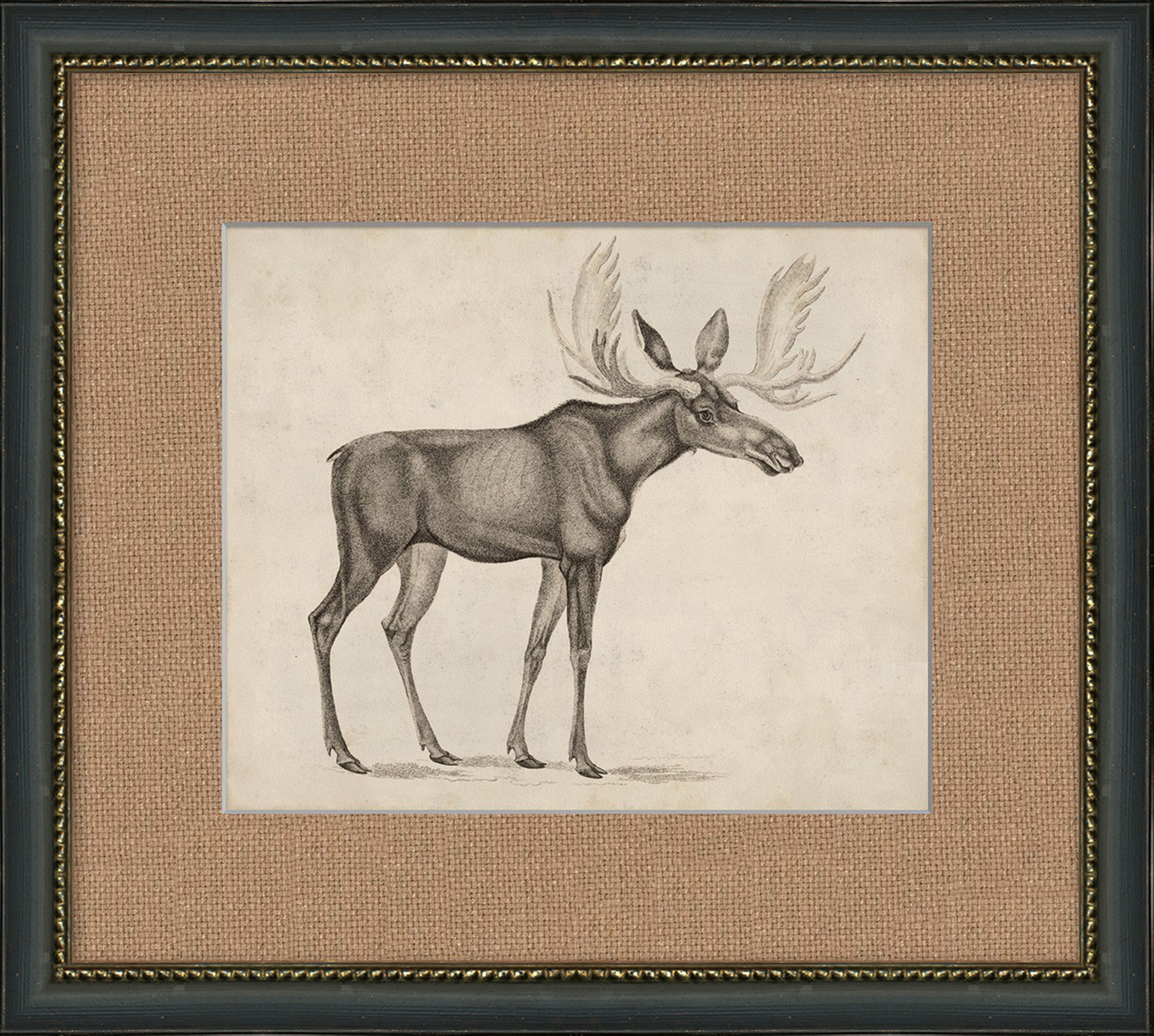 Wendover Art Group Antique Moose - Picture Frame Painting on Paper ...