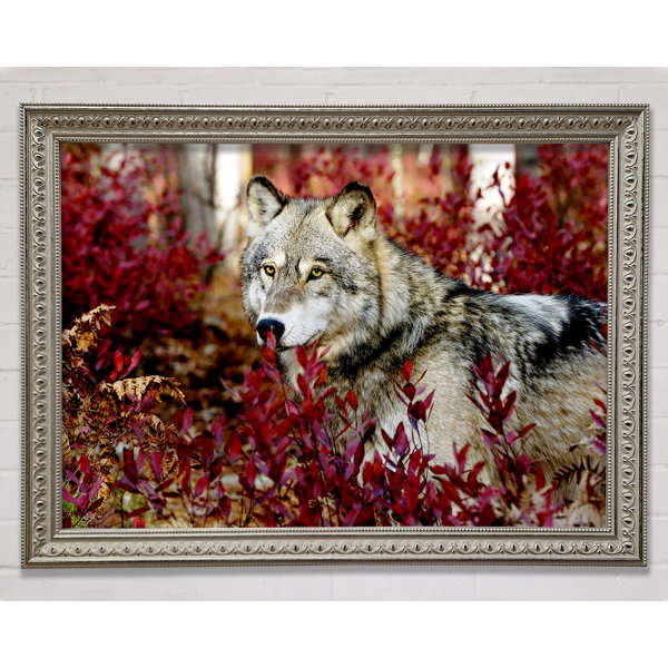 Union Rustic Wild Wolf - Single Picture Frame Print | Wayfair.co.uk